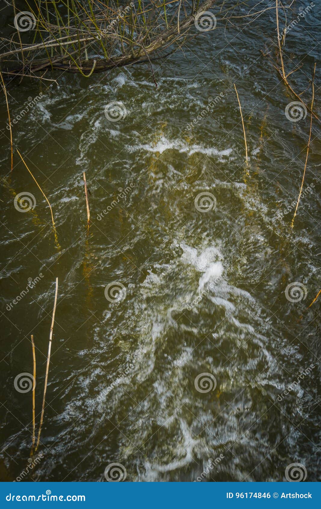 Running Water in the River stock photo. Image of background - 96174846