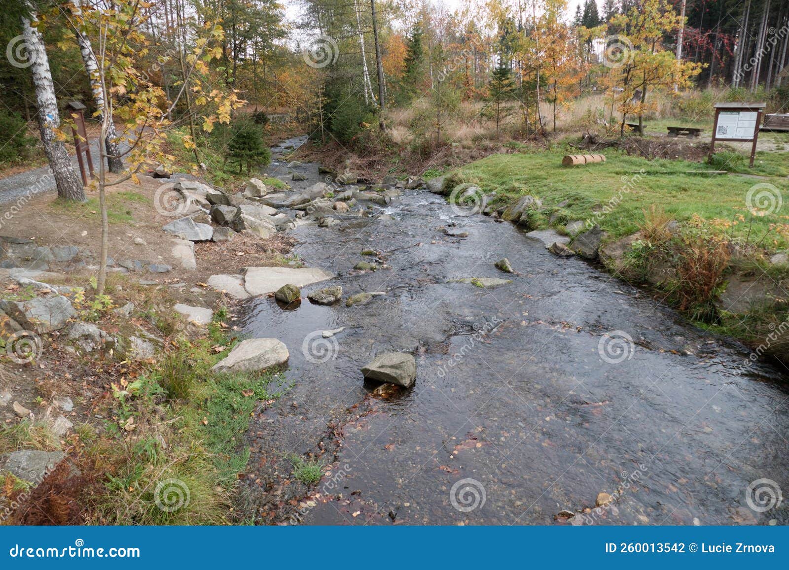 Running Water Stream in a Nature Stock Photo - Image of background ...