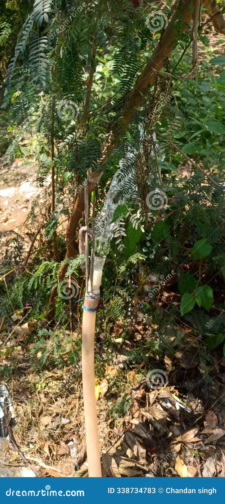 Running water for tree stock image. Image of soil, leaf - 338734783
