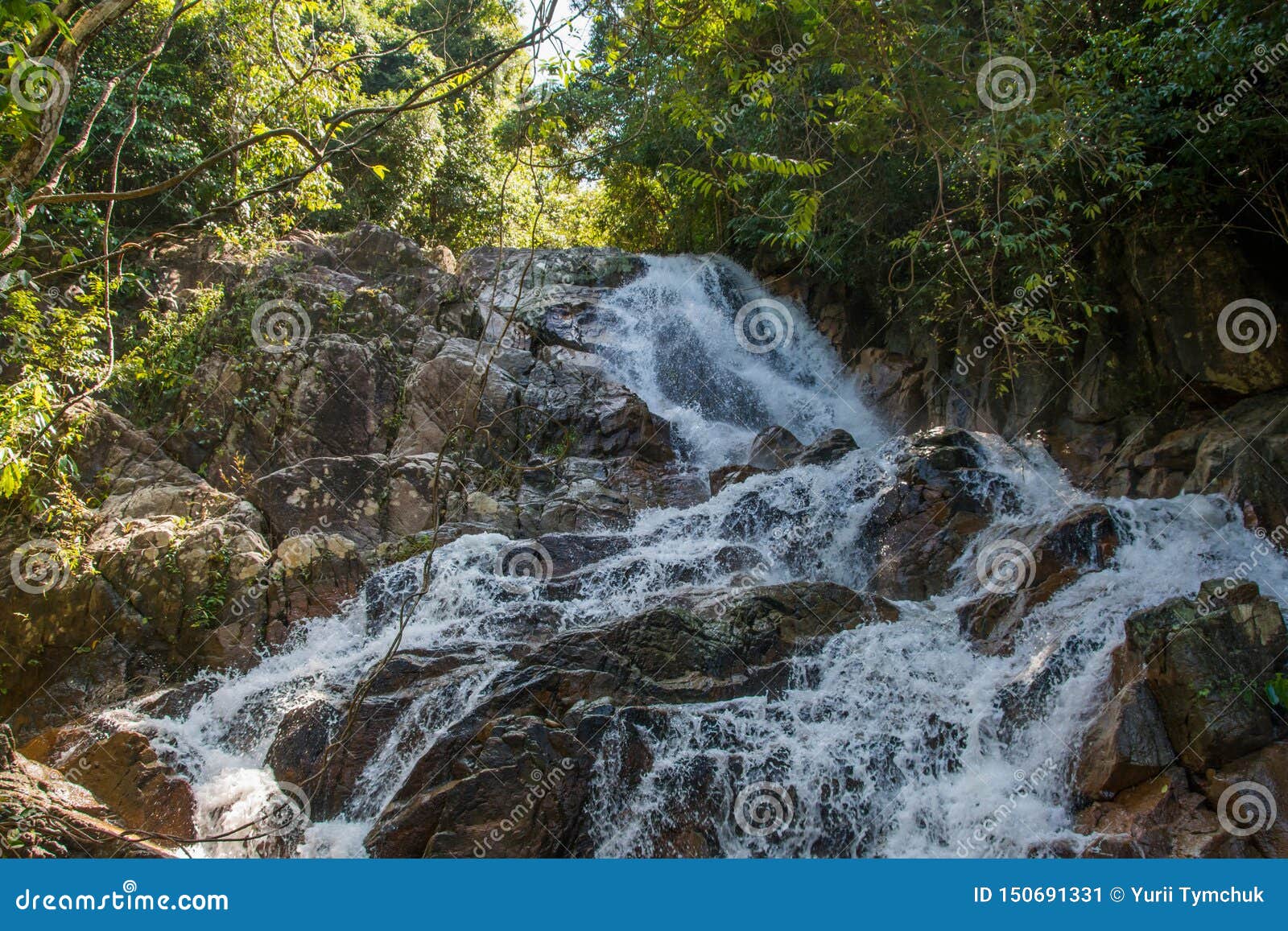 Running Water of Tropical Waterfall in Rainforest Stock Image - Image ...