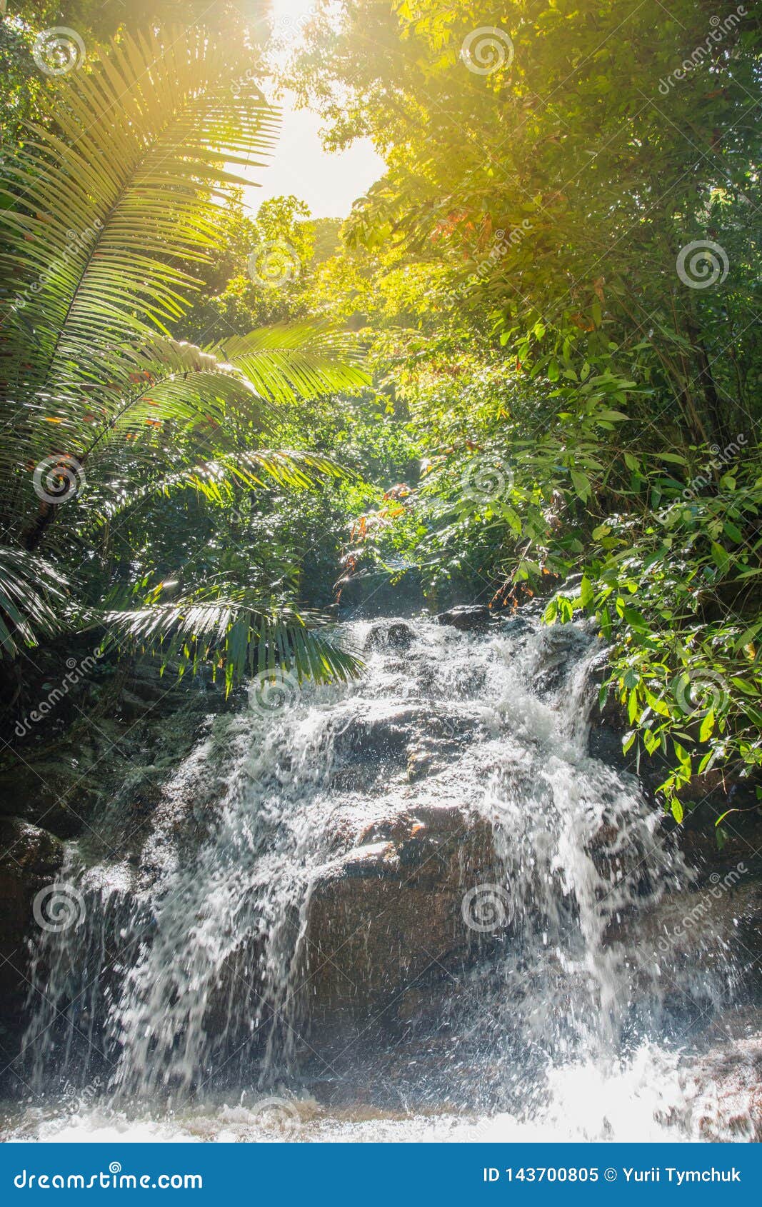 Running Water of Tropical Waterfall in Rainforest Under Sun Light Stock ...