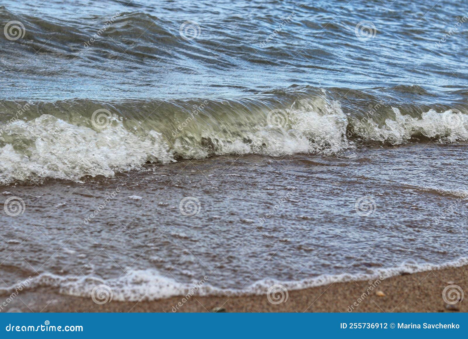Running Wave on the Lake in Summer Stock Photo - Image of shore, snow ...