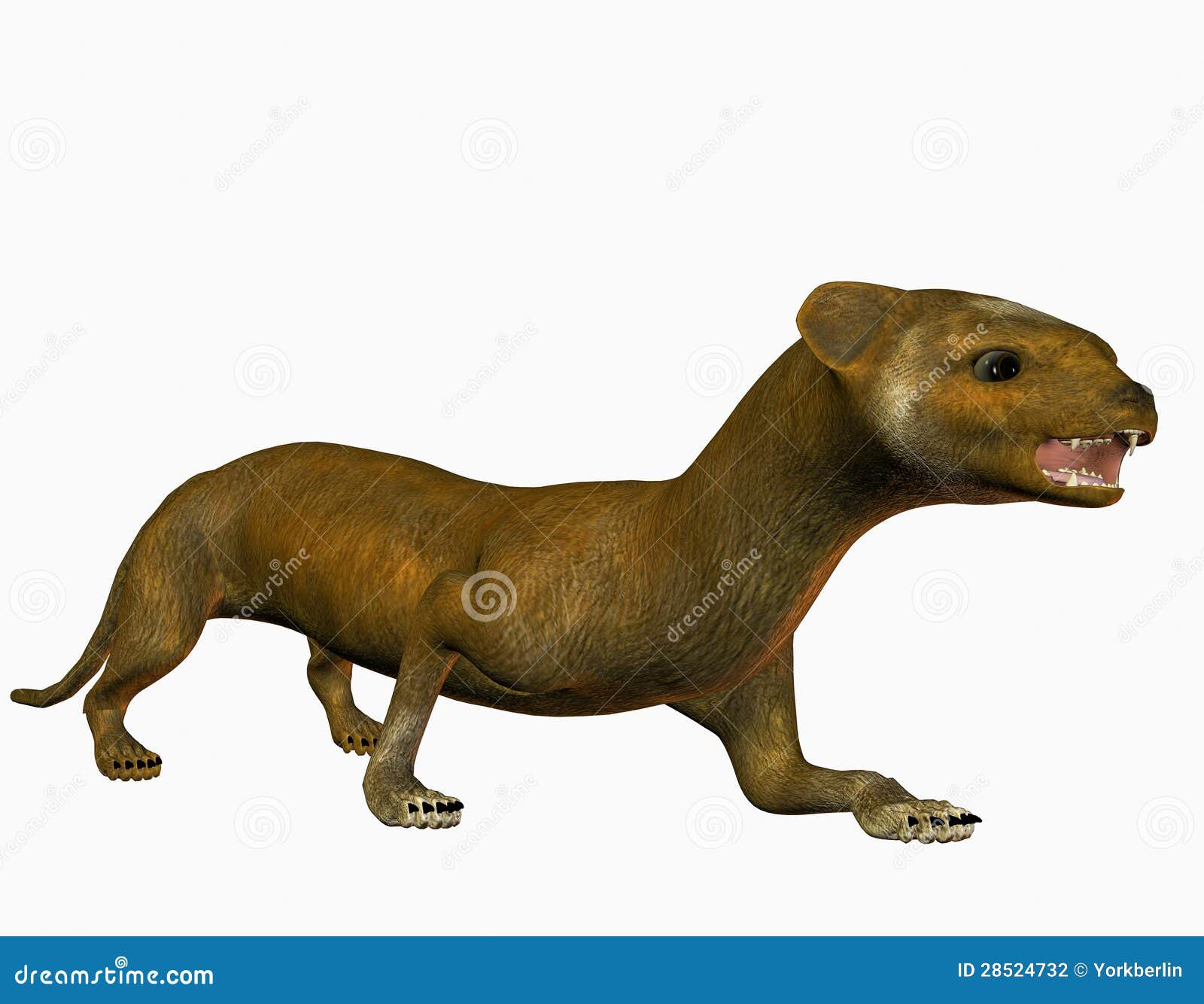 Running Weasel stock illustration. Illustration of kingdom - 28524732