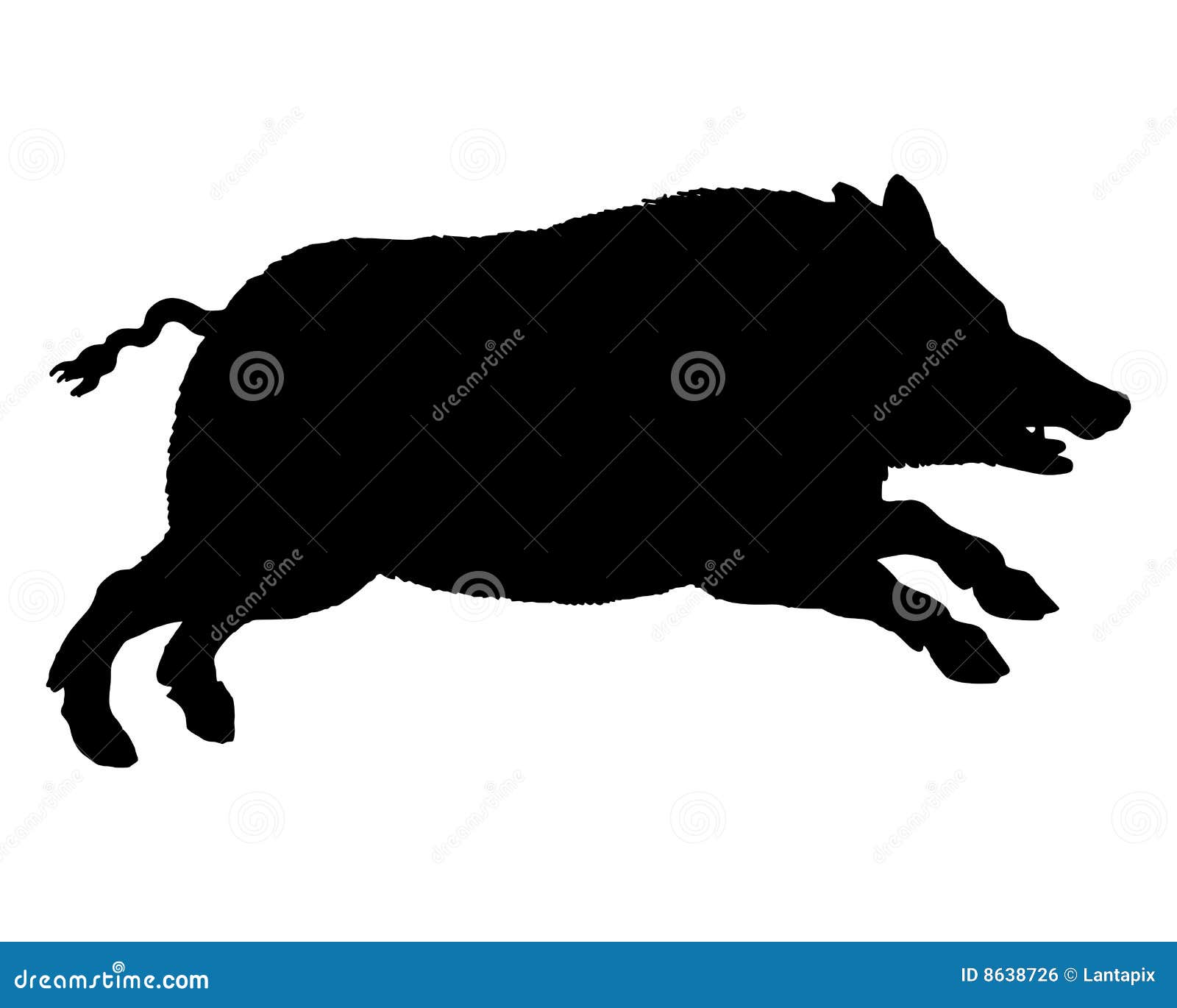 Running Wild Boar. Black And White Vector Illustration Of A Stylized ...