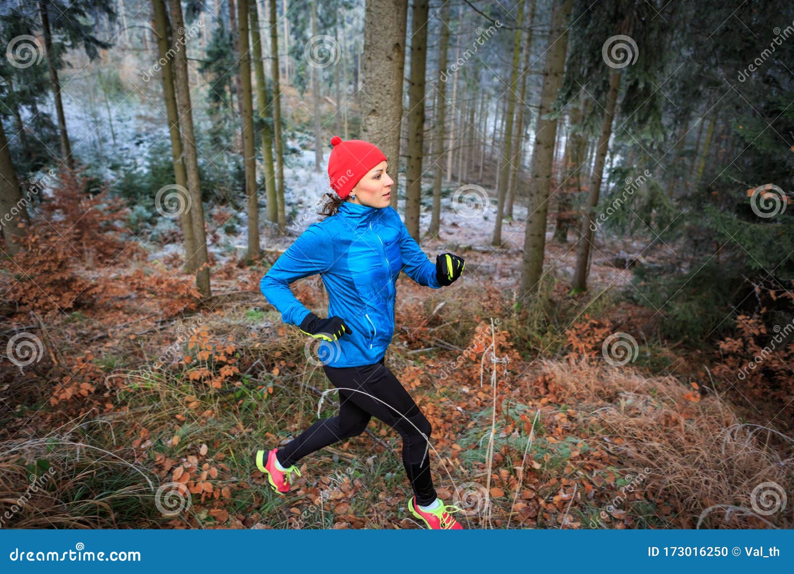 Running in the Wintry Forest Stock Photo - Image of jogging, winter ...
