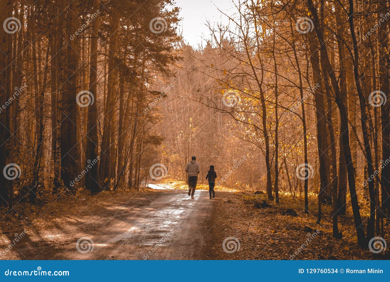 Running in the woods editorial stock image. Image of wallpaper - 129760534