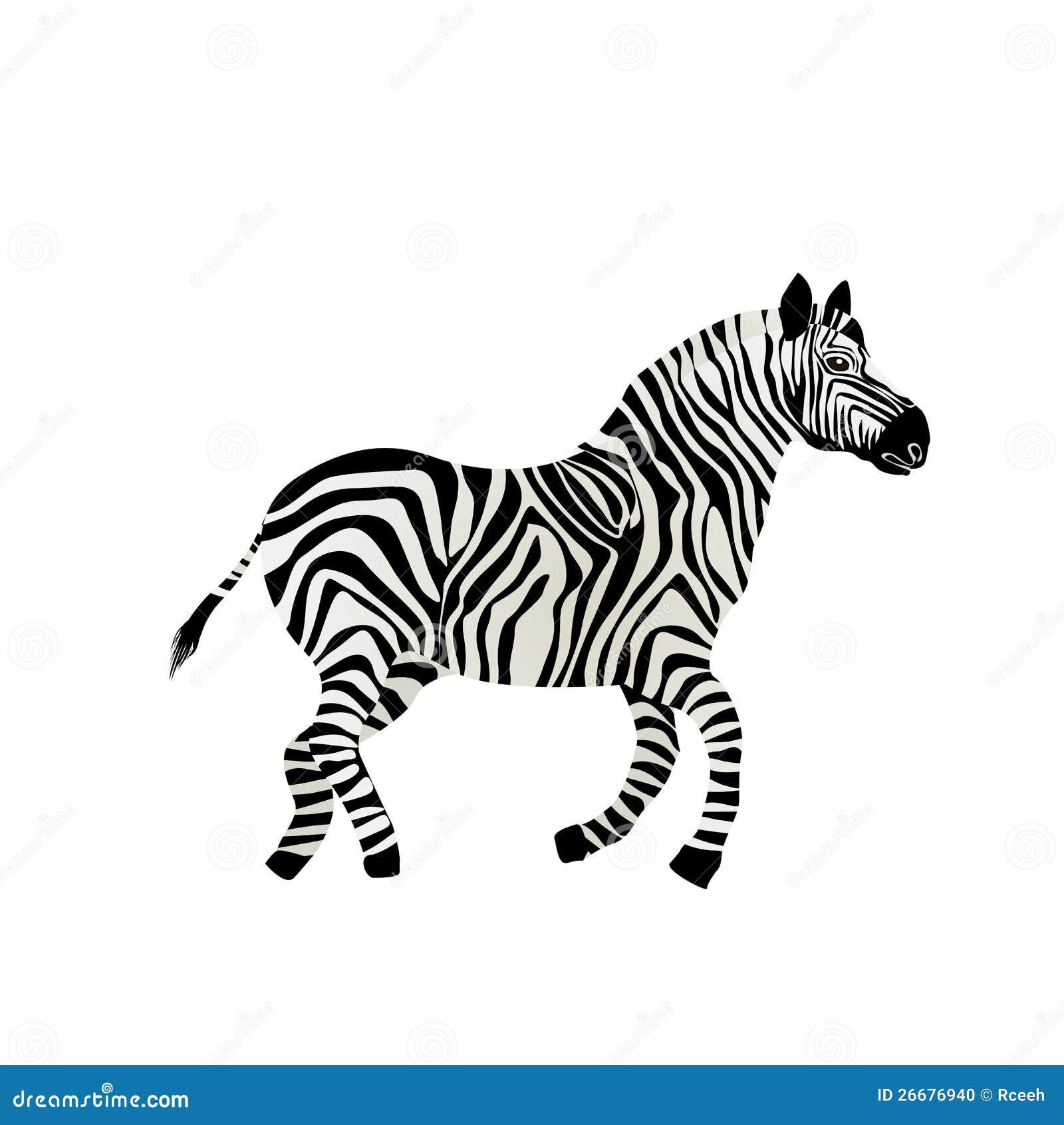 Running zebra stock illustration. Illustration of population - 26676940