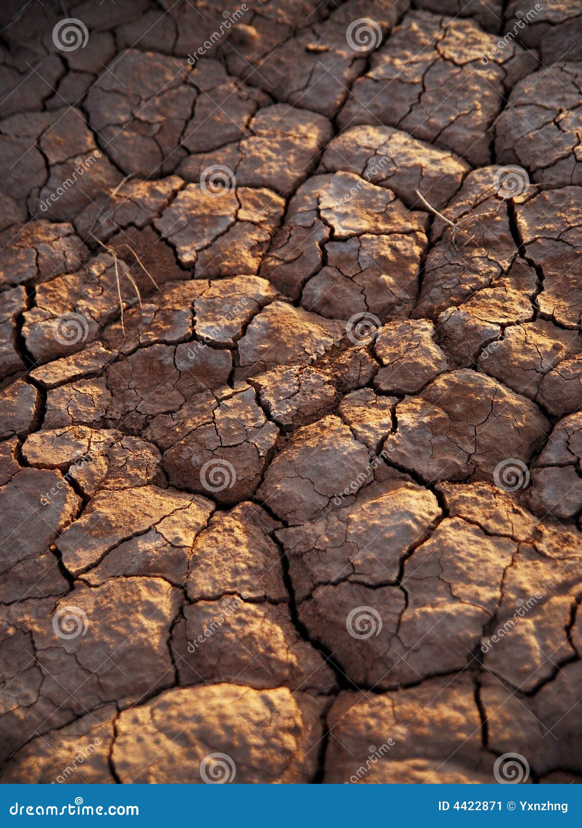 Rupture ground stock image. Image of ground, rain, soil - 4422871