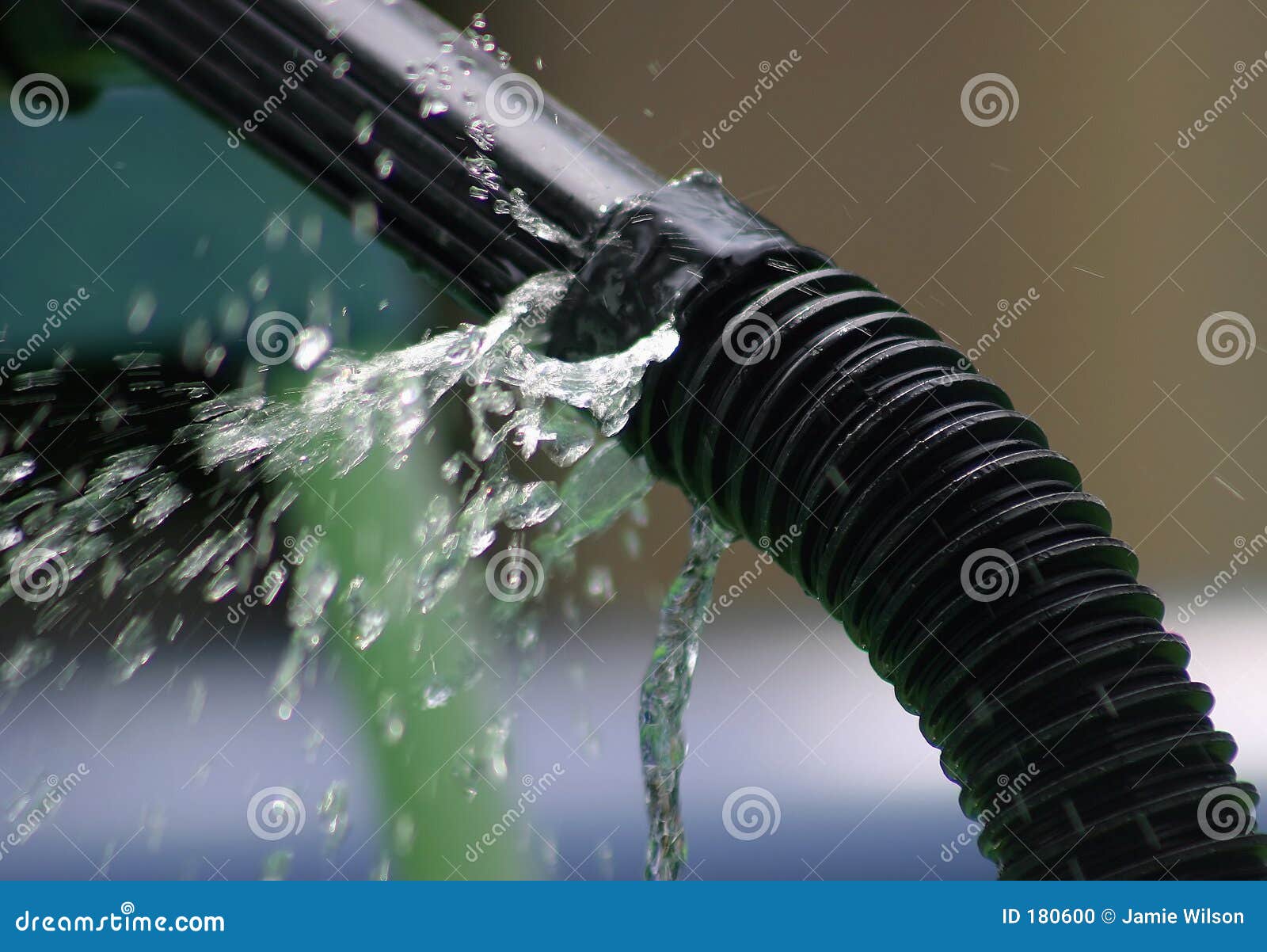 Ruptured Hose stock photo. Image of perforation, spray - 180600