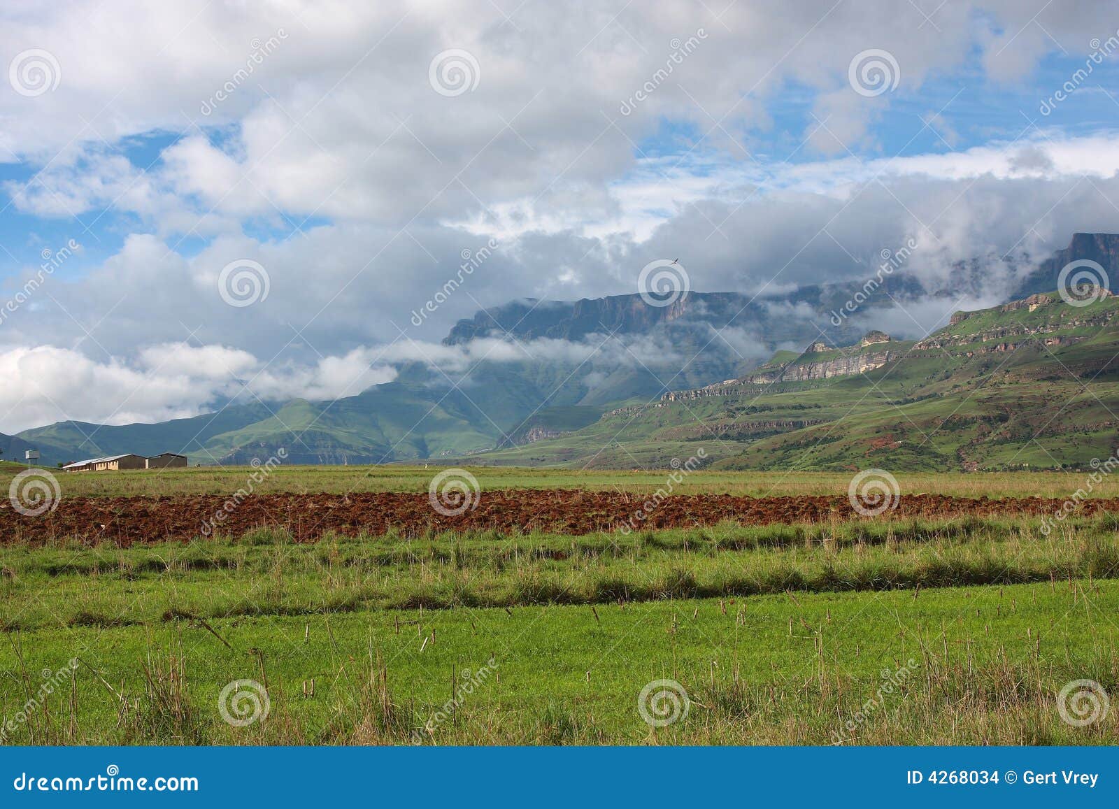 Rural africa stock photo. Image of travel, green, summer - 4268034