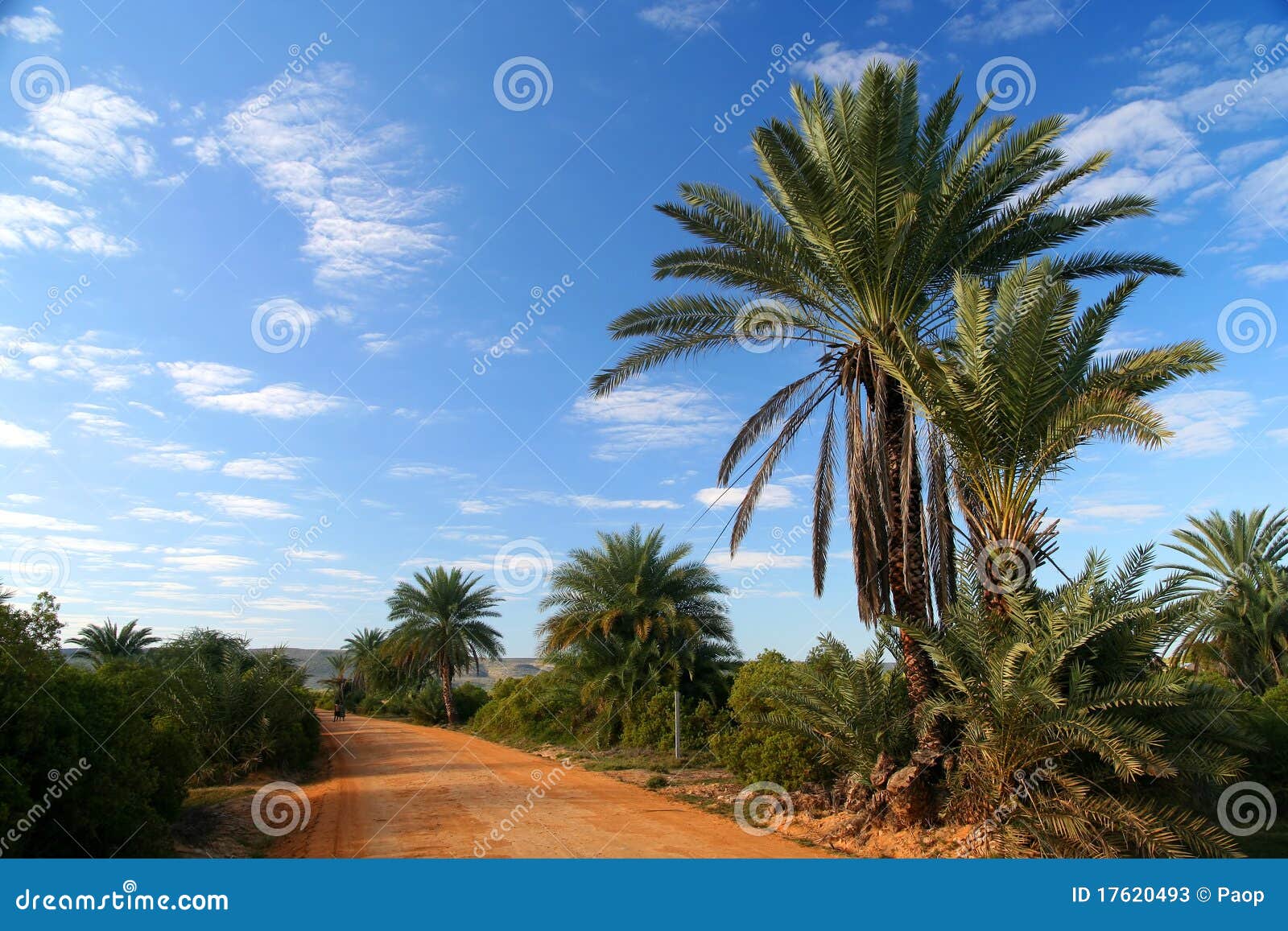 Rural african road stock image. Image of distance, beauty - 17620493