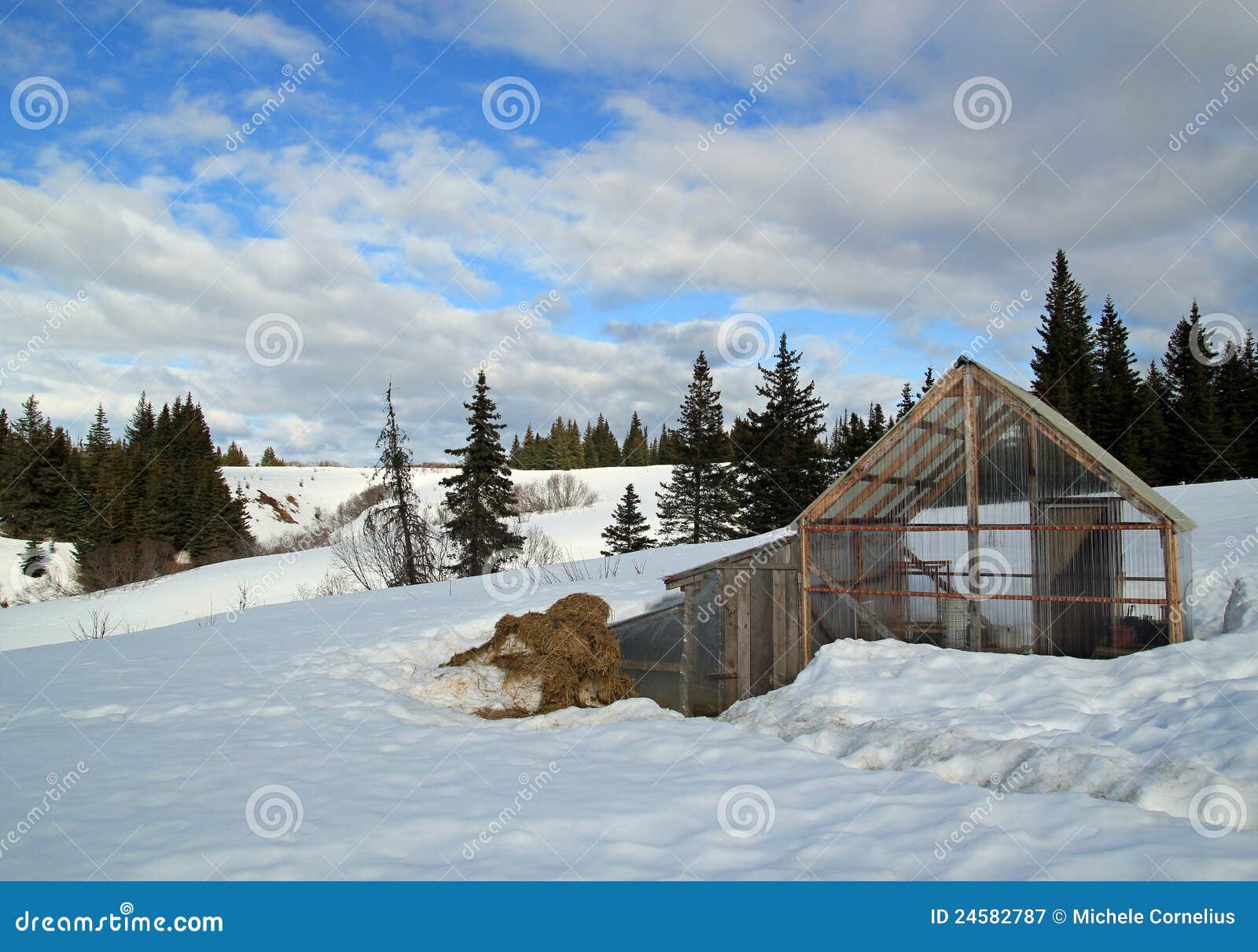 Rural Alaskan Greenhouse in Winter Stock Image - Image of winter ...