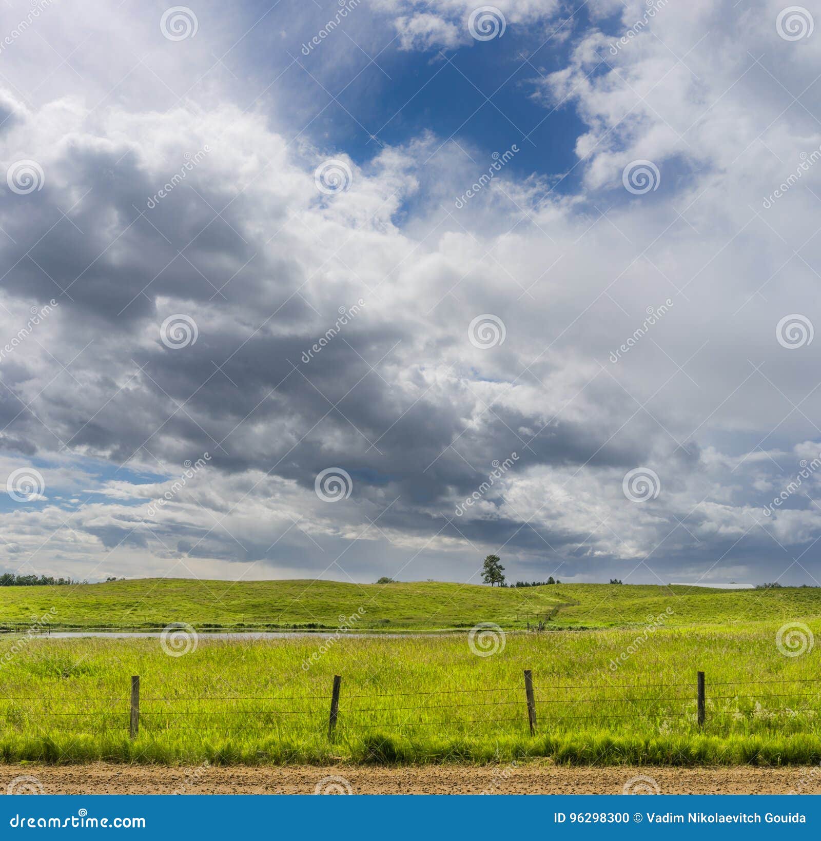 Rural Alberta landscape stock photo. Image of alberta - 96298300