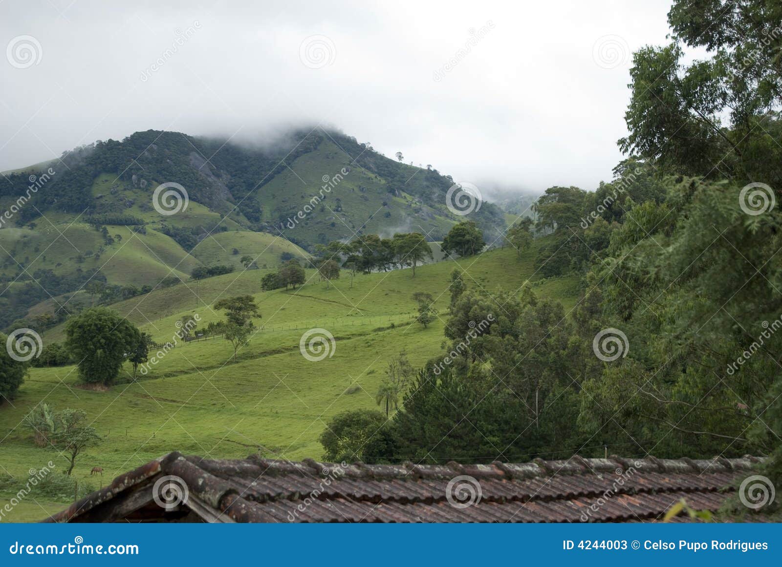 Rural area stock image. Image of country, brazil, minas - 4244003