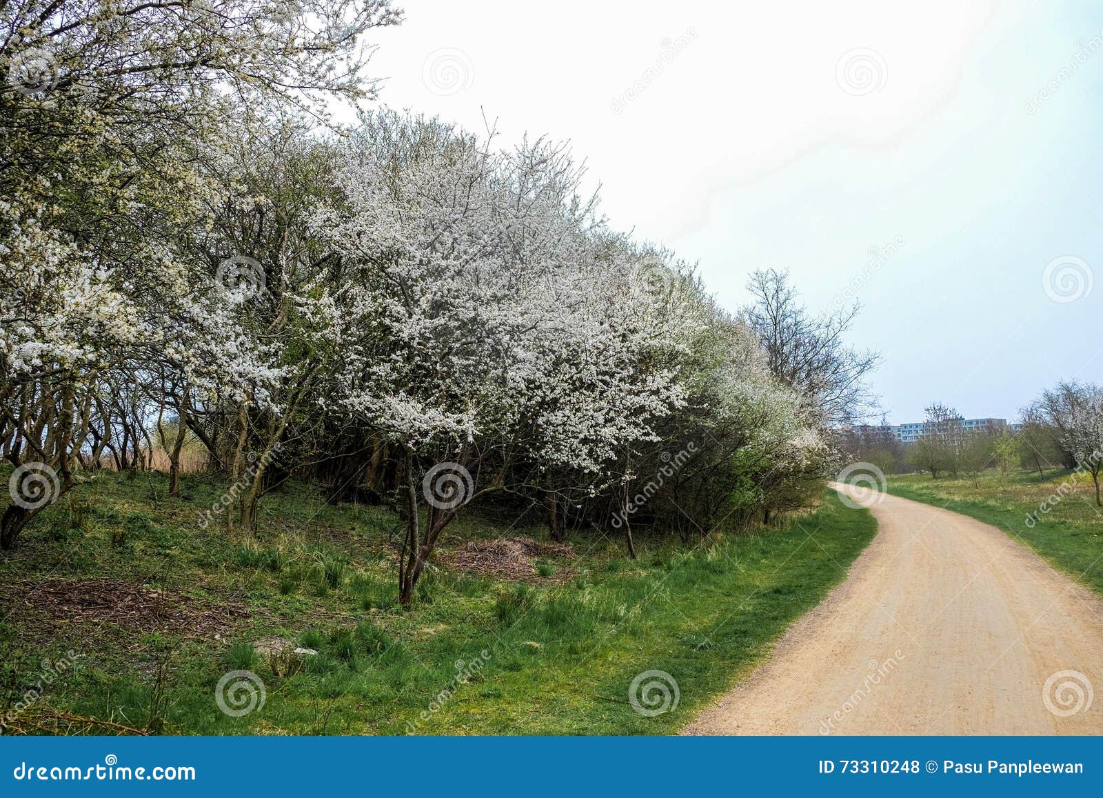 Rural Area in Copenhagen, Denmark Stock Photo - Image of beautiful ...