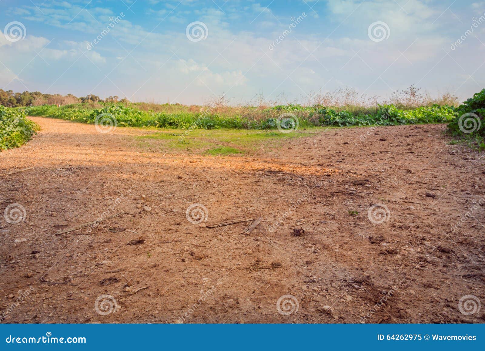 Rural area dirt road stock image. Image of field, empty - 64262975