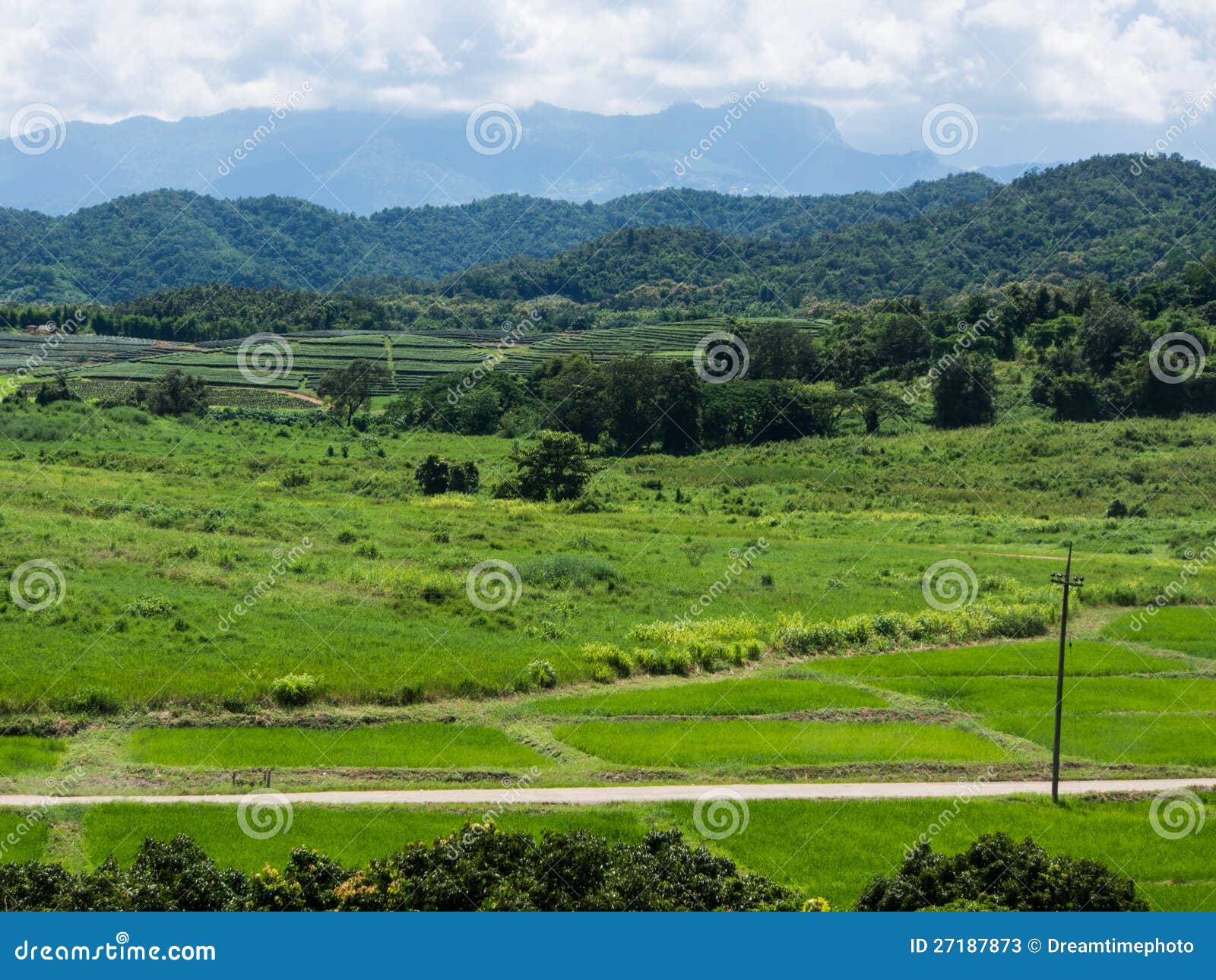 Rural area in Thailand stock image. Image of green, field - 27187873