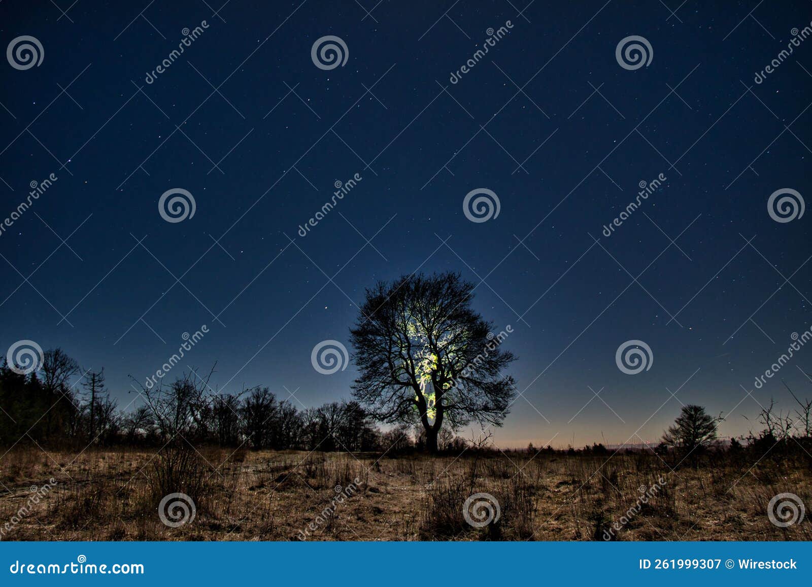 Rural Area Under Starry Night Sky Stock Image - Image of evening, field ...