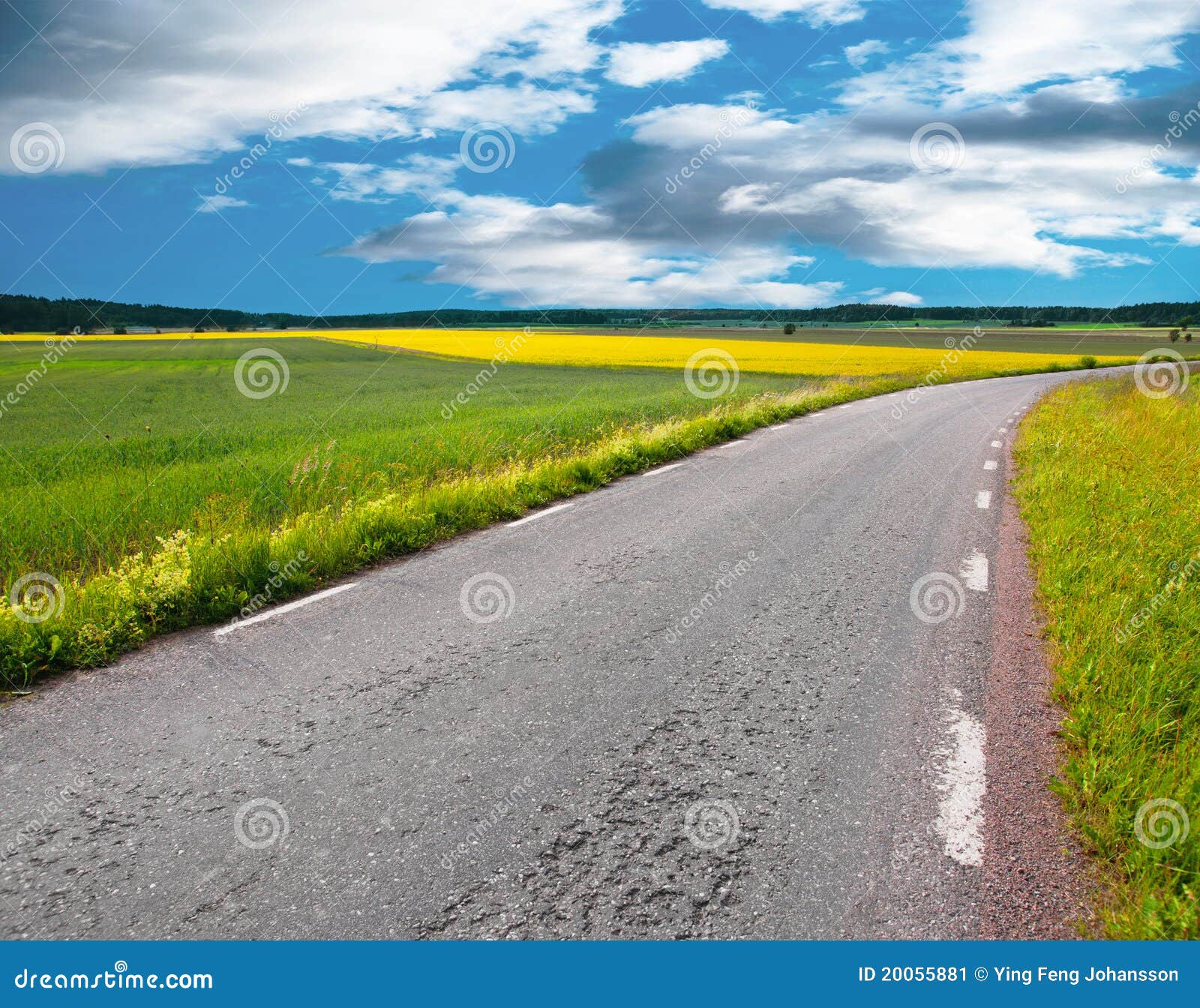Rural asphalt road stock image. Image of beautiful, environment - 20055881