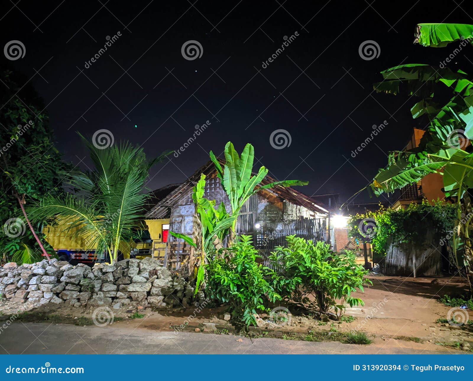 Rural Atmosphere at Night with Trees Illuminated by Lights Stock Photo ...