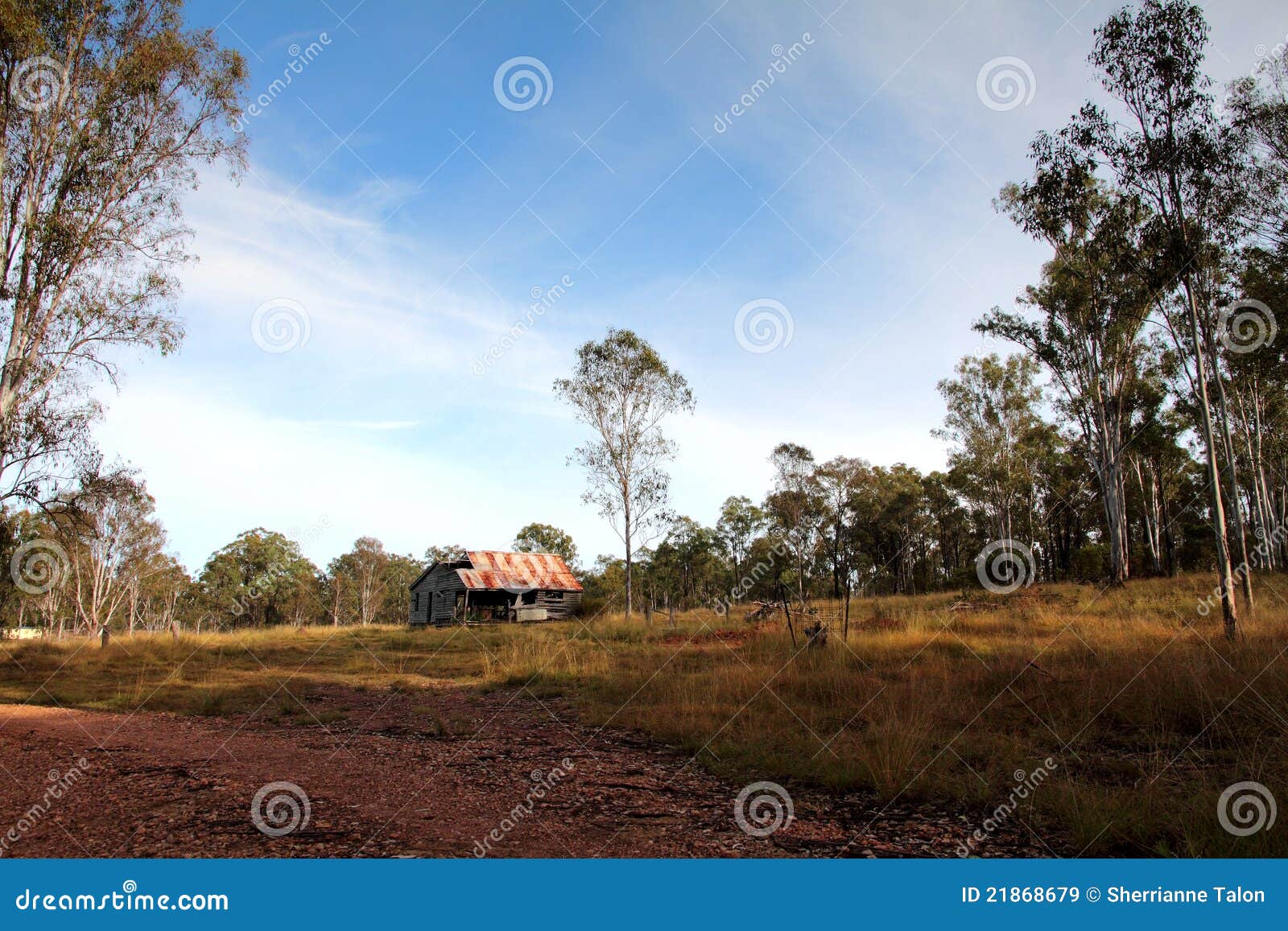 Rural Australia stock image. Image of trees, australia - 21868679