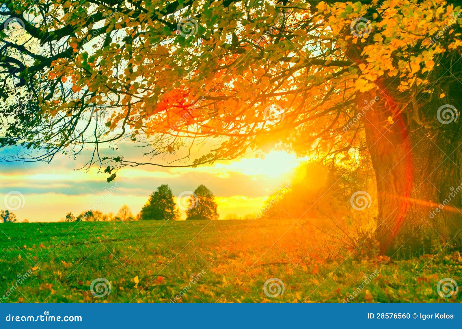 Rural autumn landscape stock photo. Image of field, meadow - 28576560