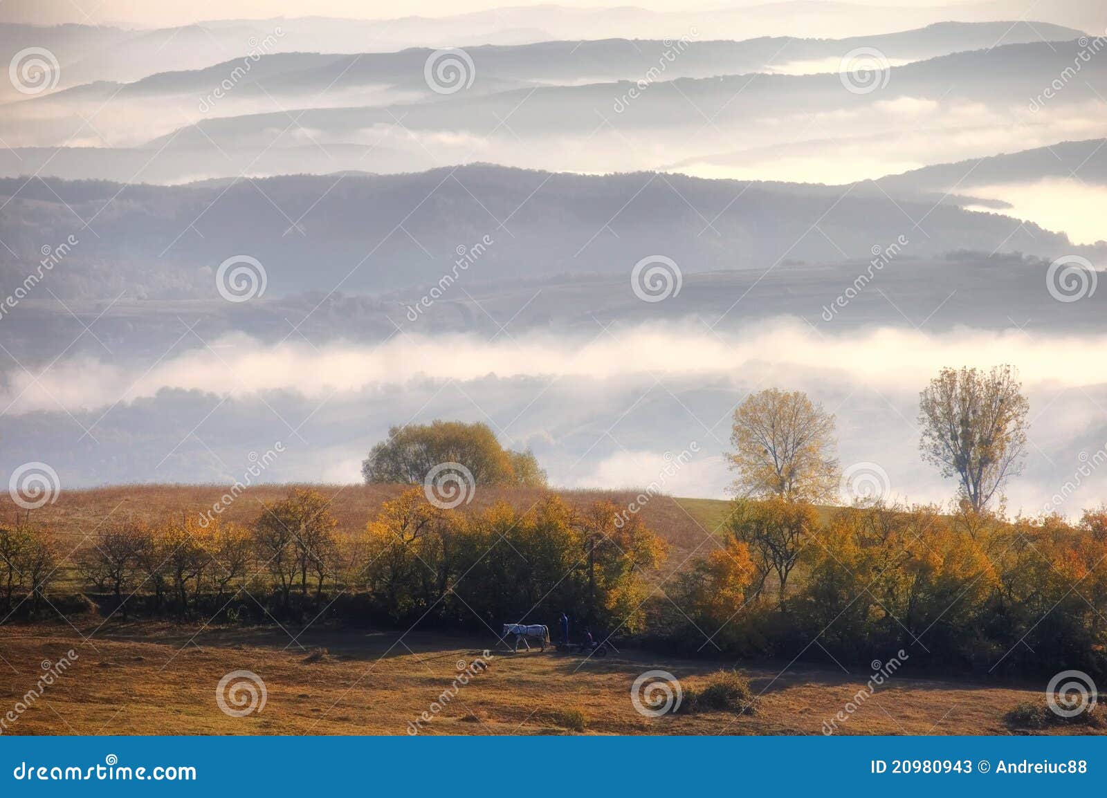 Rural Autumn Landscape with Fog Stock Image - Image of dream, mystery ...