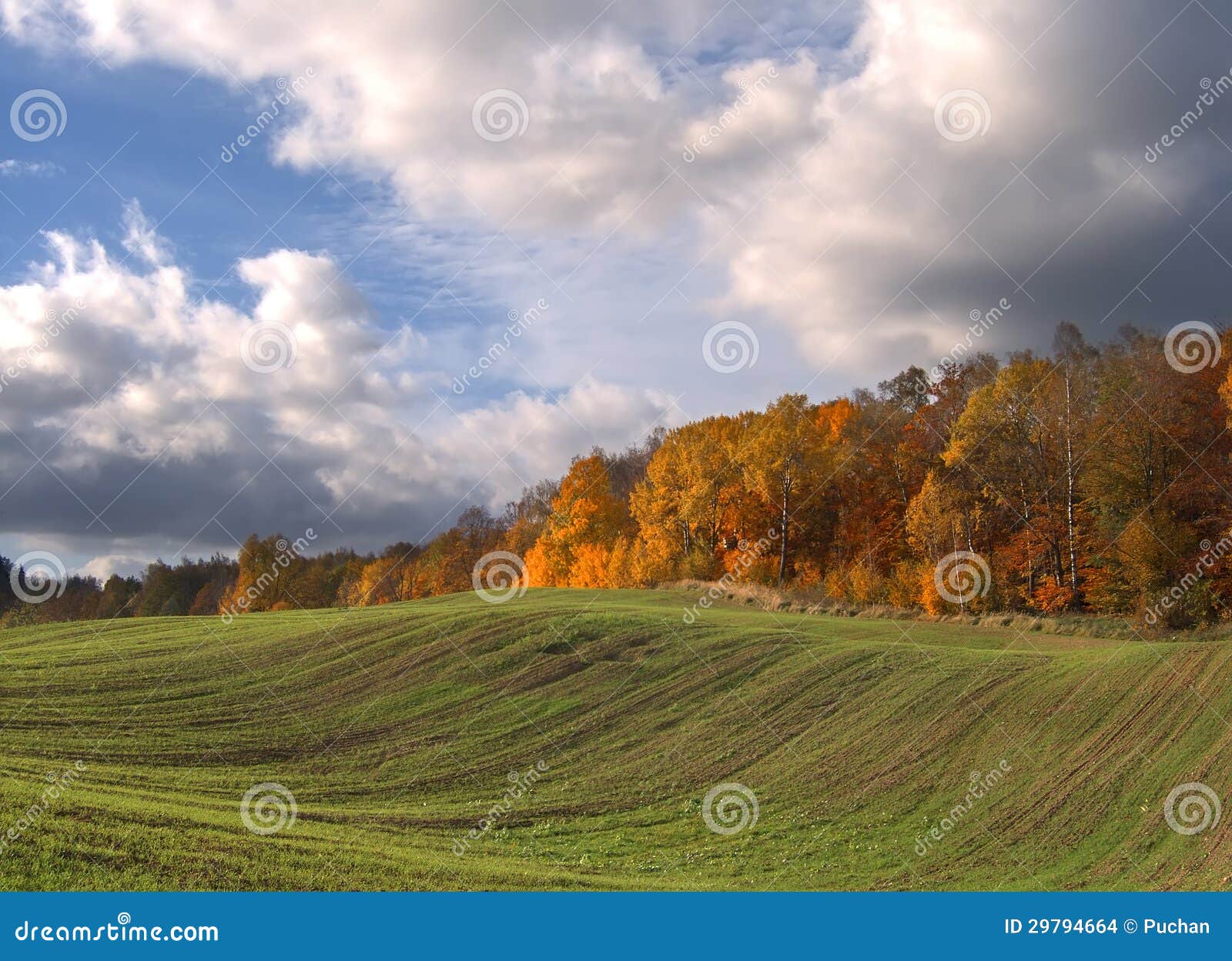 Rural autumn landscape stock photo. Image of pasture - 29794664