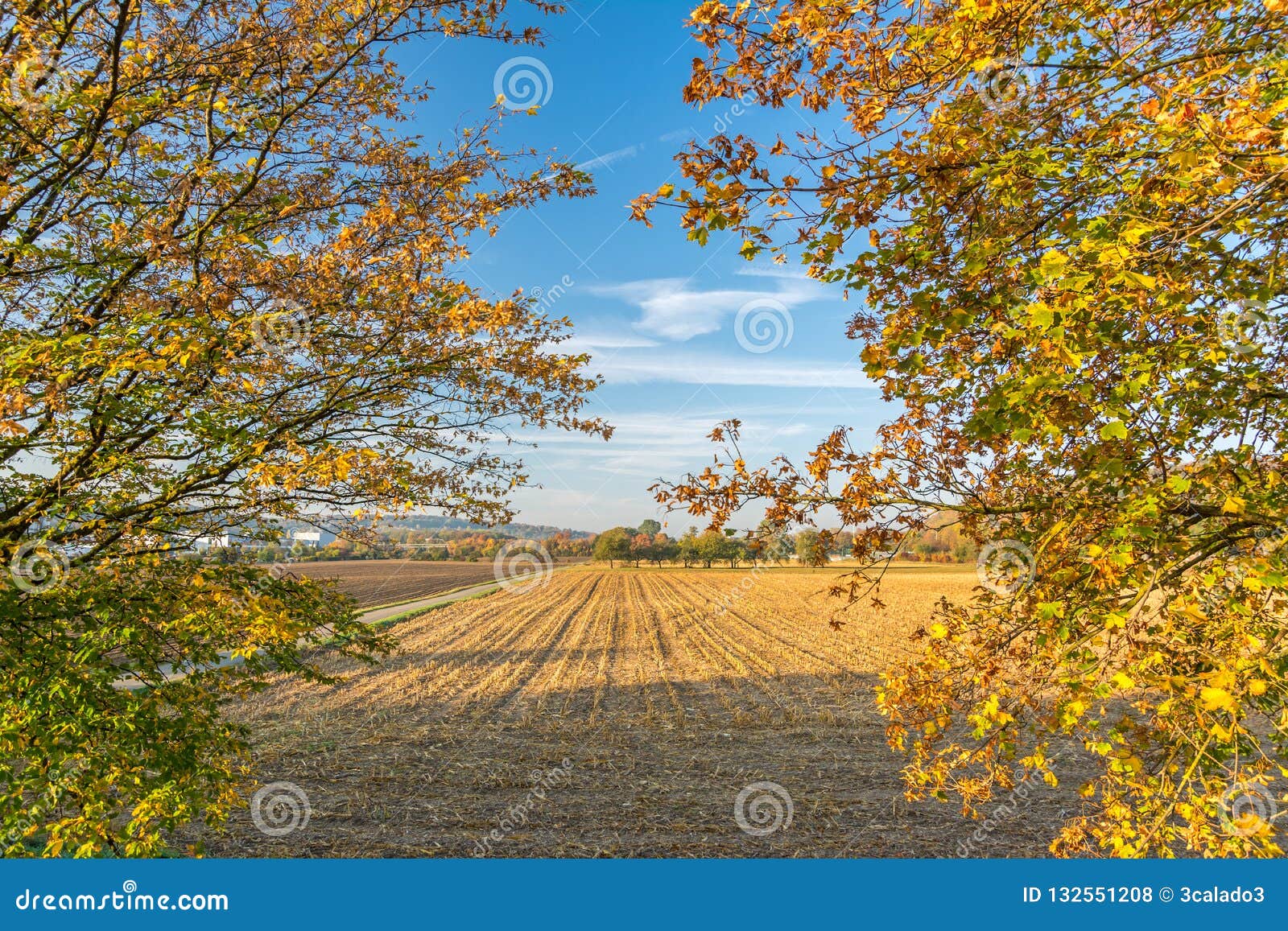 Rural autumn landscape stock photo. Image of colors - 132551208
