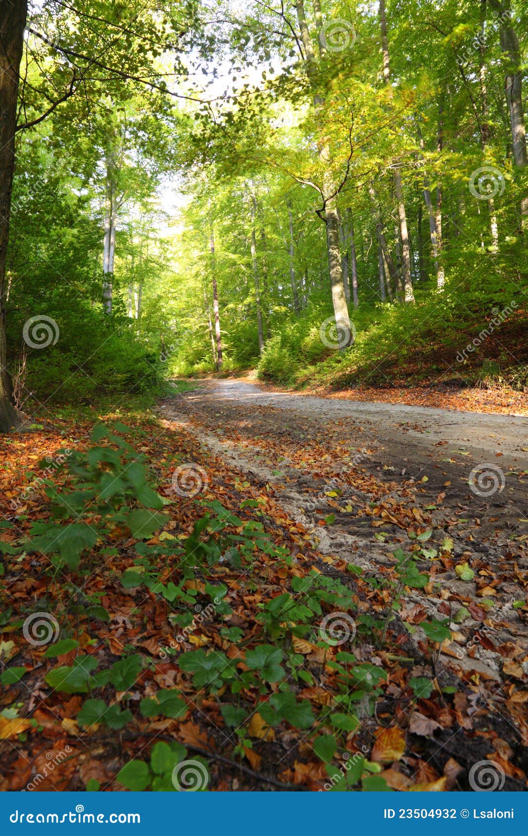 Rural autumn scenery stock photo. Image of autumn, october - 23504932