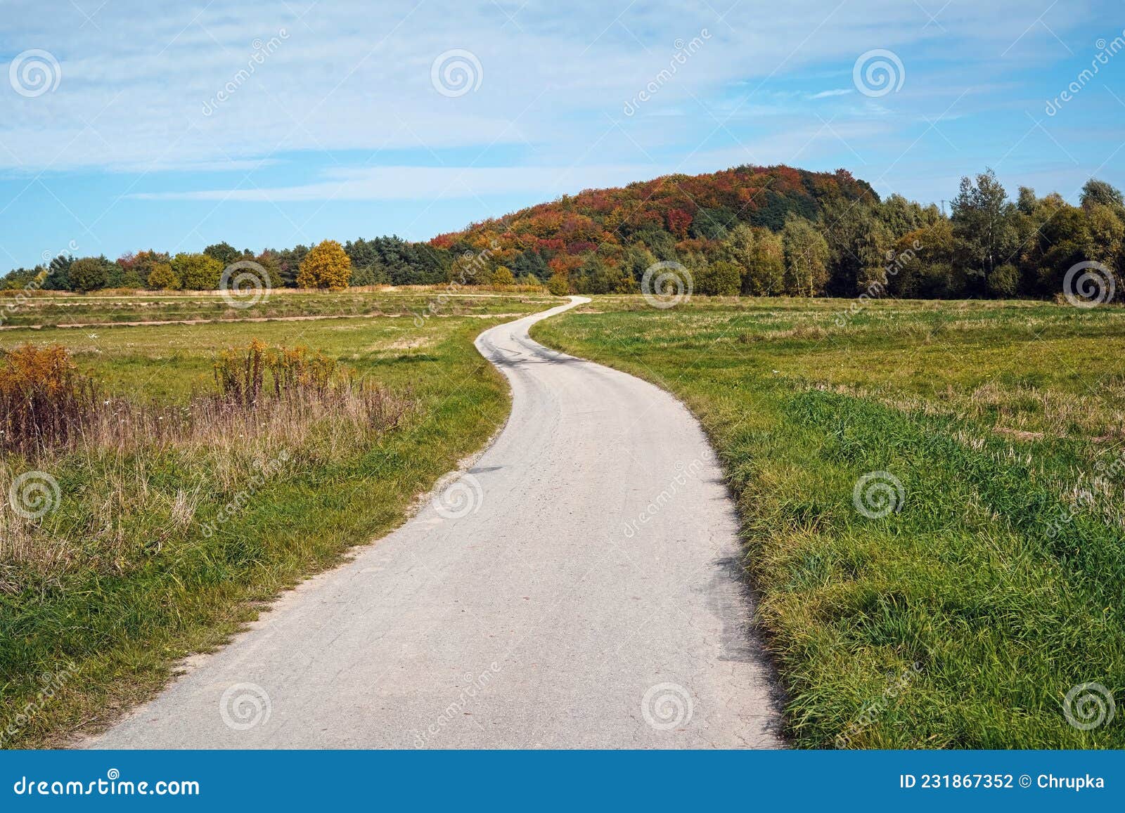 Rural winding road stock photo. Image of nature, mountain - 231867352