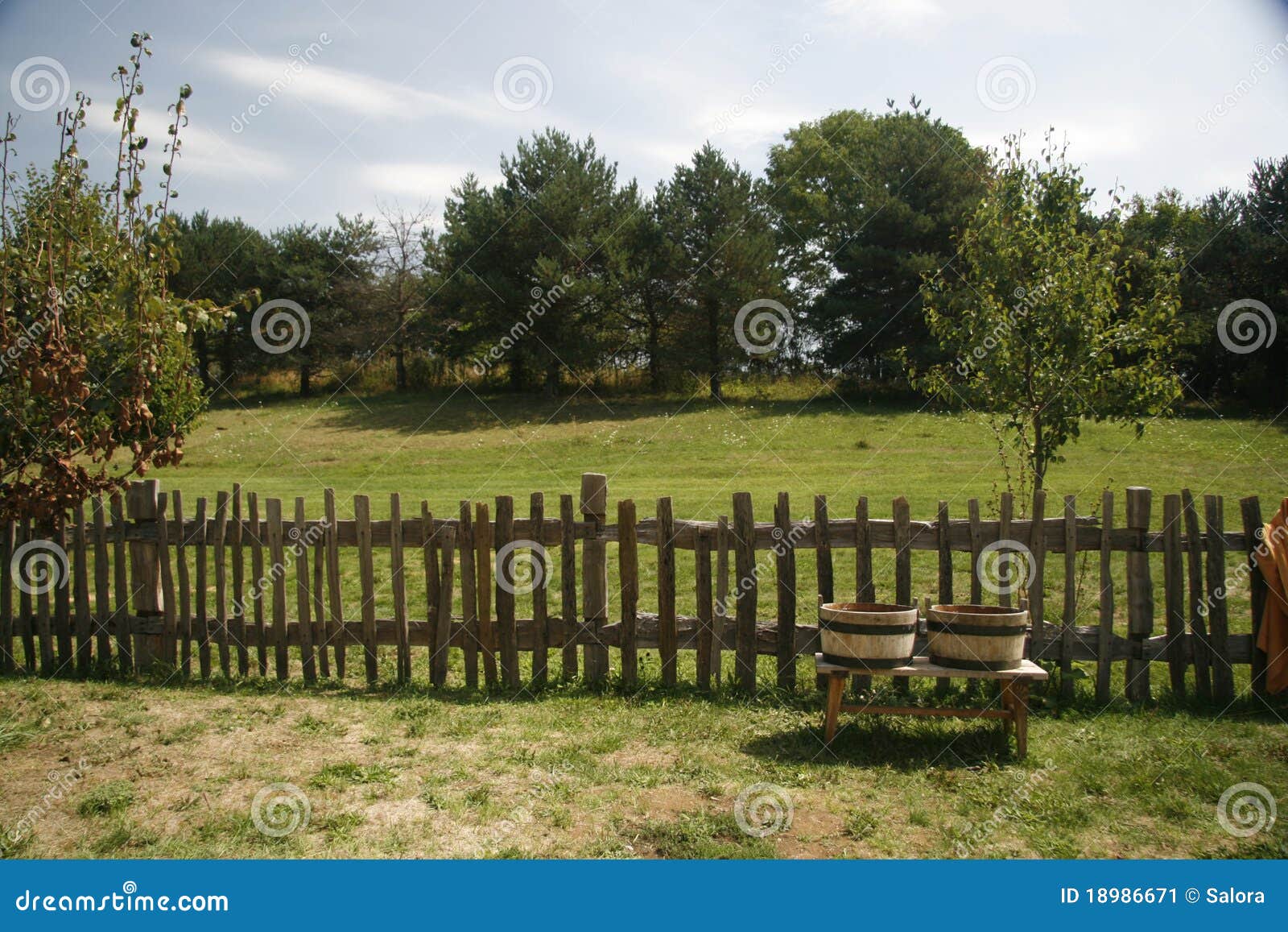 Rural backyard. stock image. Image of plant, organic - 18986671