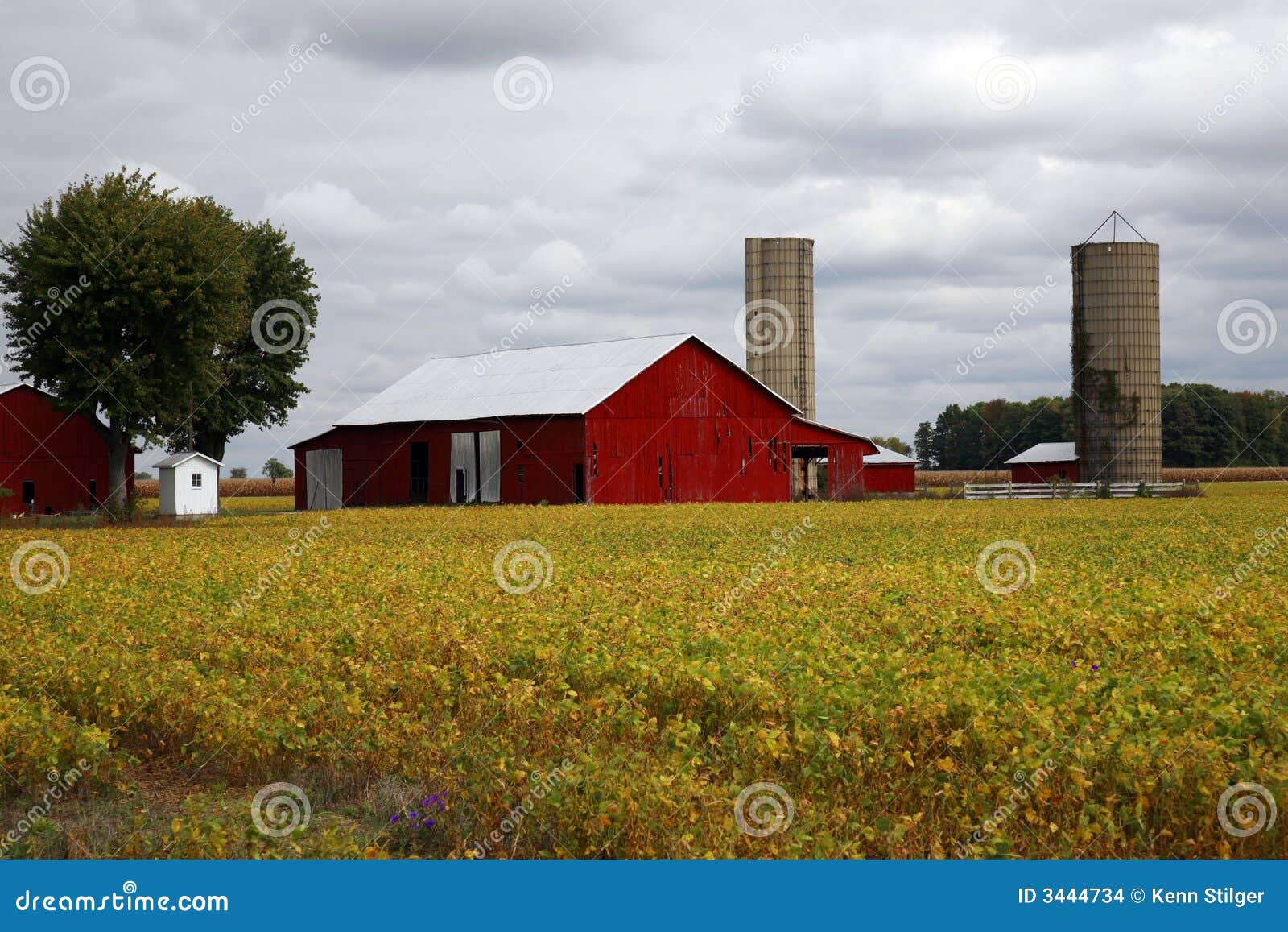 Rural Barn Tennessee stock photo. Image of rural, barn - 3444734