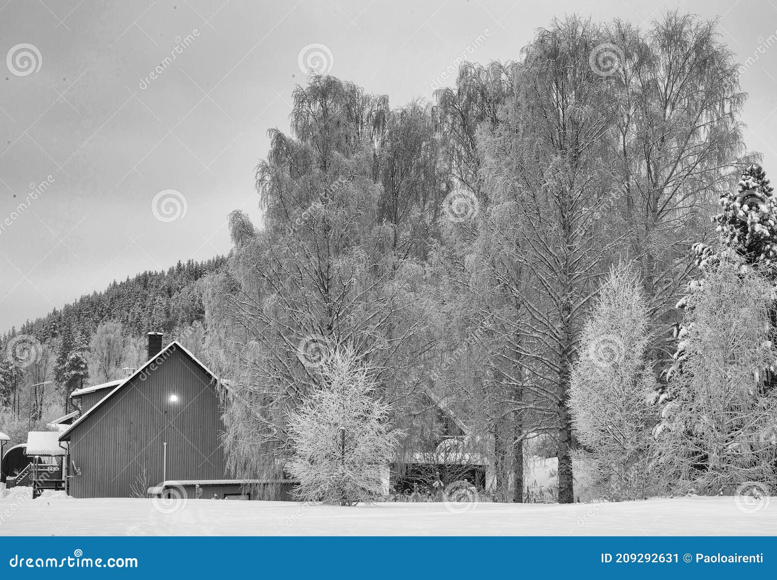 .rural Buildings and Trees in Winter Stock Image - Image of sweden ...