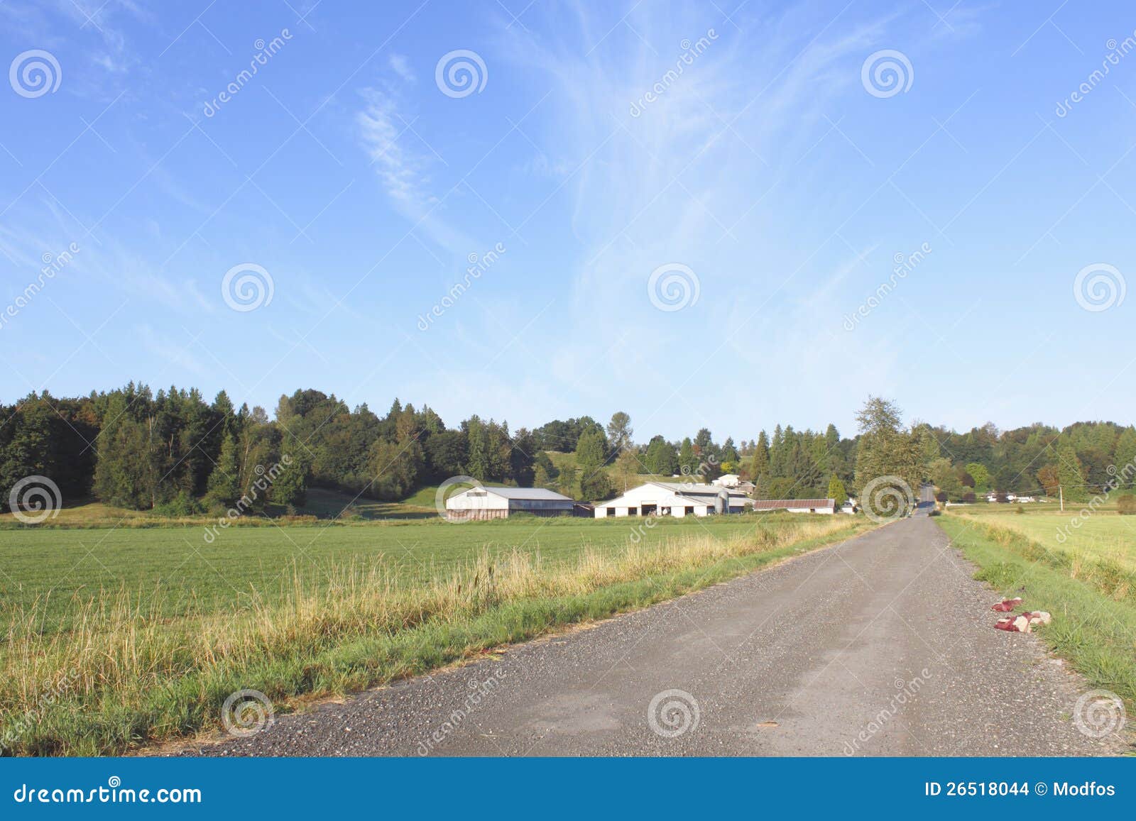 Rural Canadian Country Road Stock Photo - Image of crops, agriculture ...