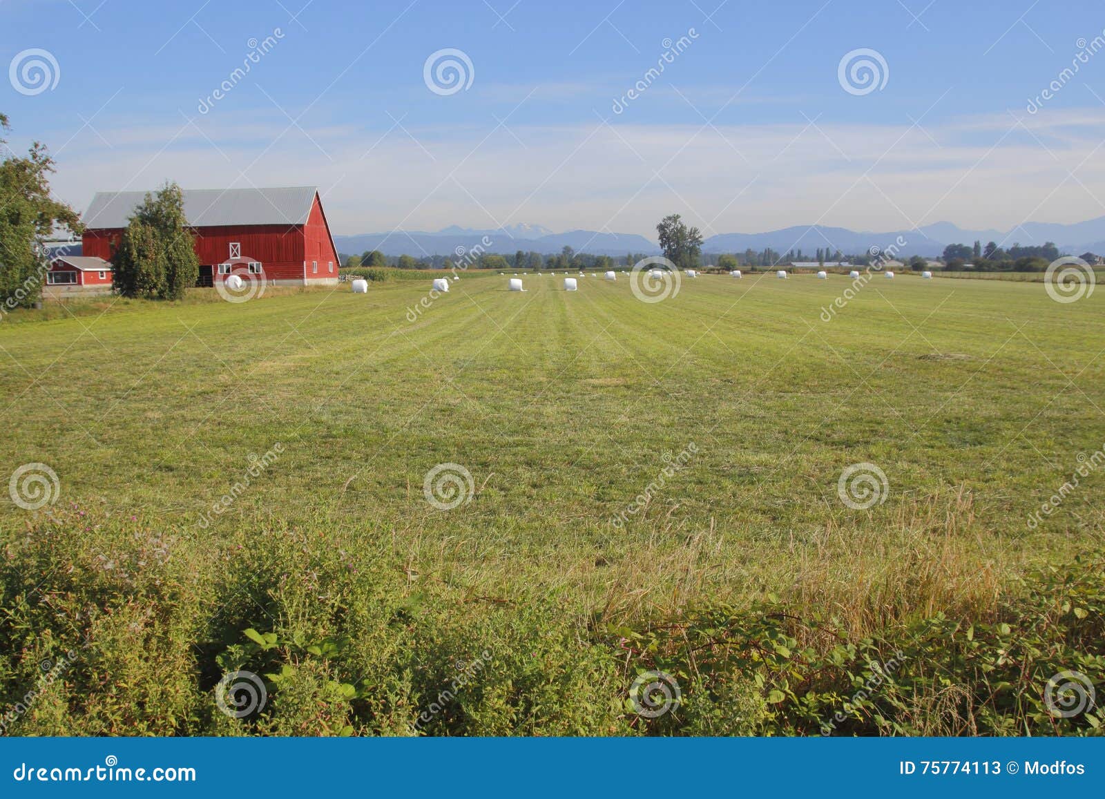 Rural Canadian Landscape in August Stock Image - Image of tranquil ...