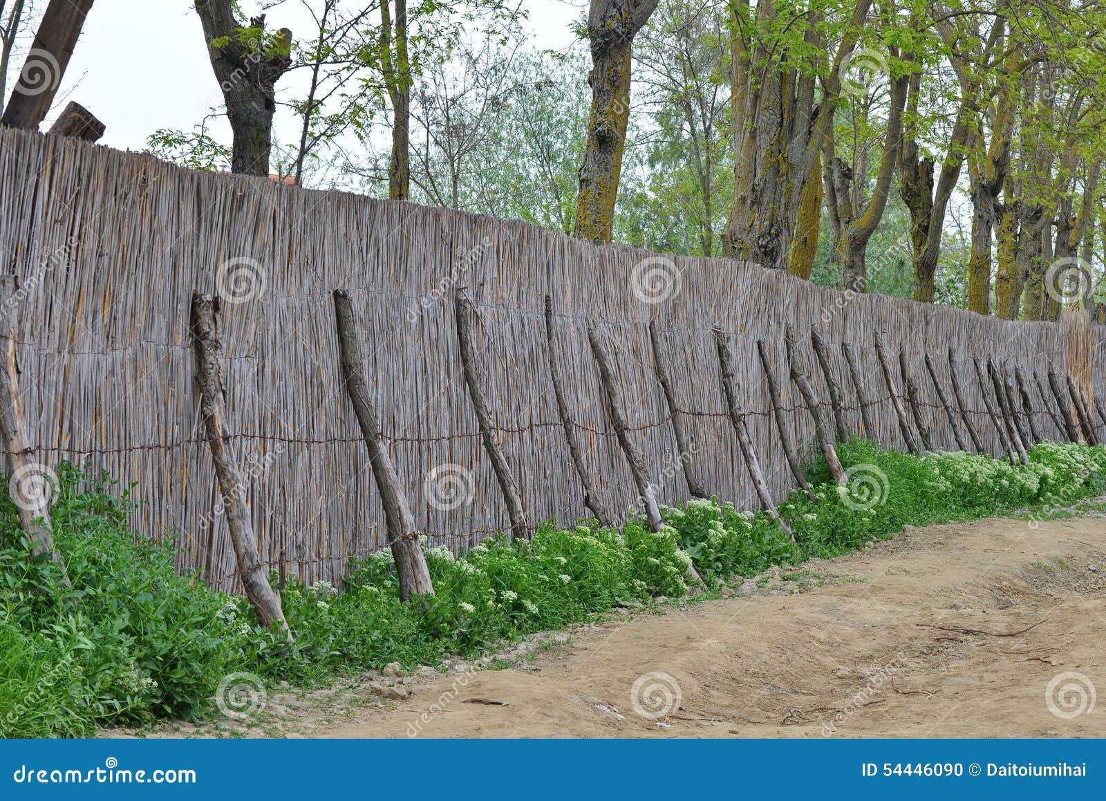 Rural cane fence stock photo. Image of ethnic, craft - 54446090