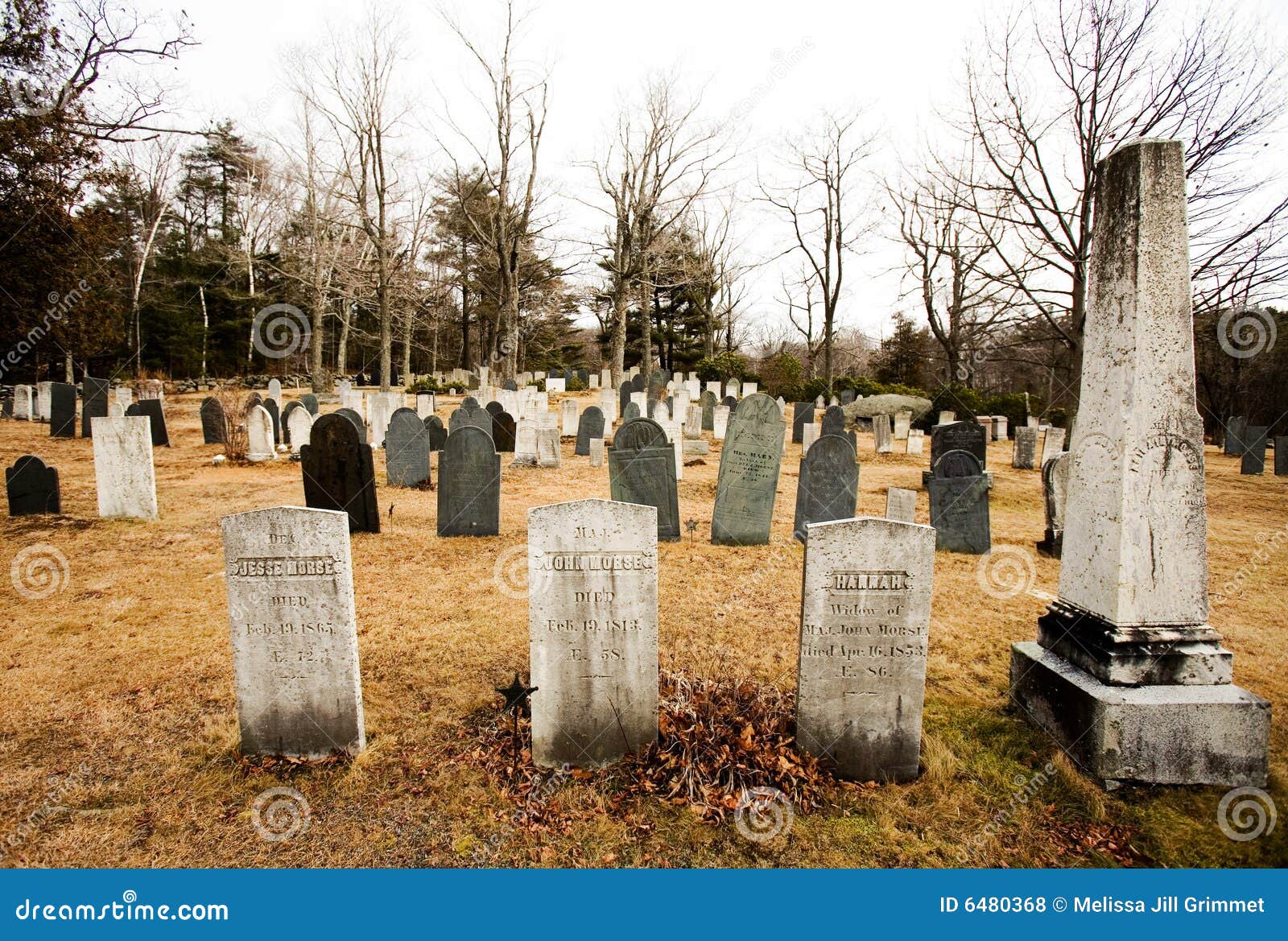Rural Cemetery stock photo. Image of cemetery, haloween - 6480368