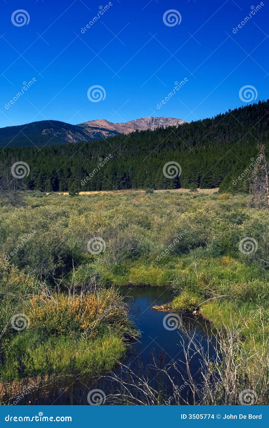 Rural Colorado Landscape stock photo. Image of grasslands - 3505774