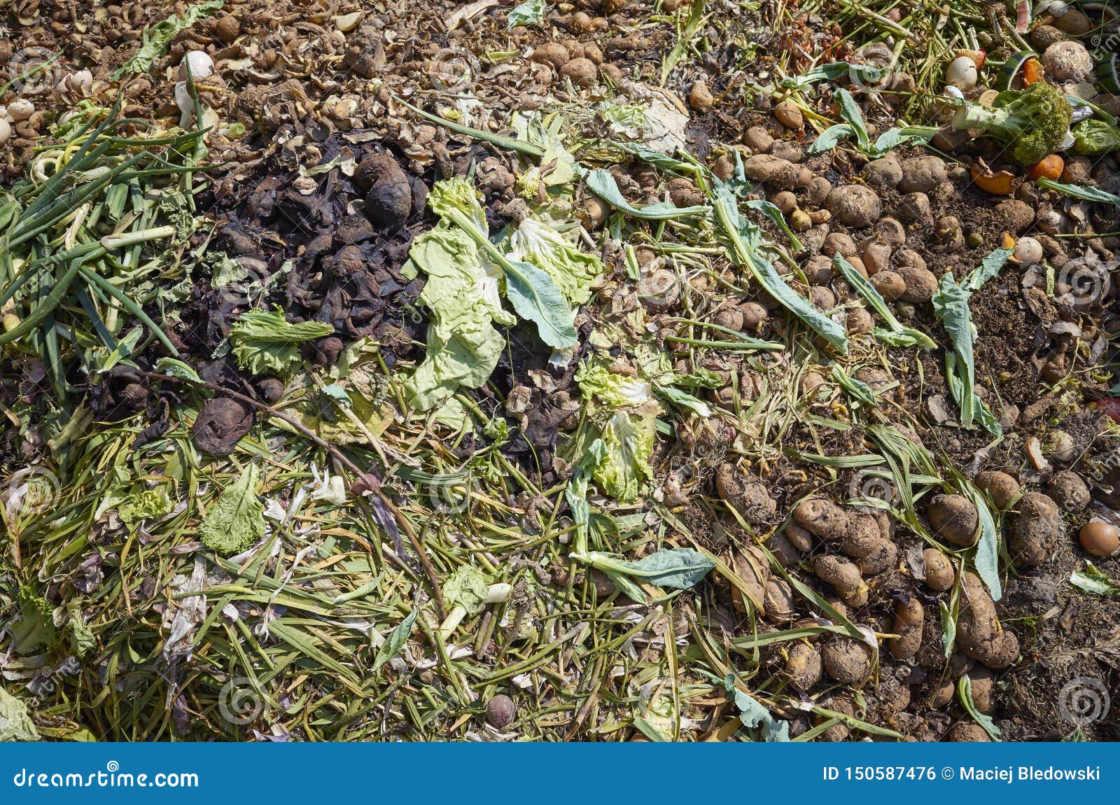 Rural Compost with Vegetable and Fruit Scraps Stock Photo - Image of ...