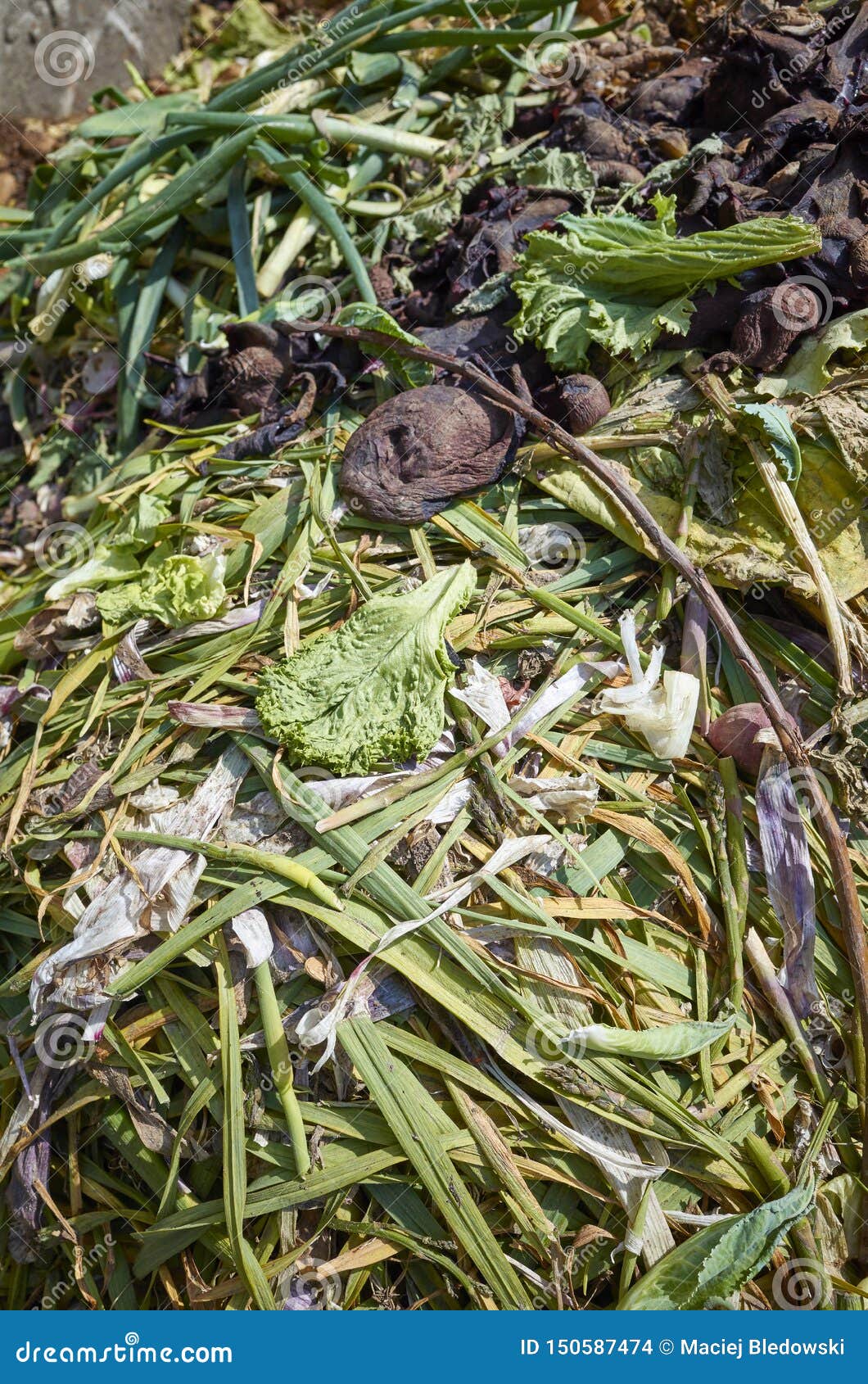 Rural Compost with Vegetable Scraps Stock Photo - Image of organic ...