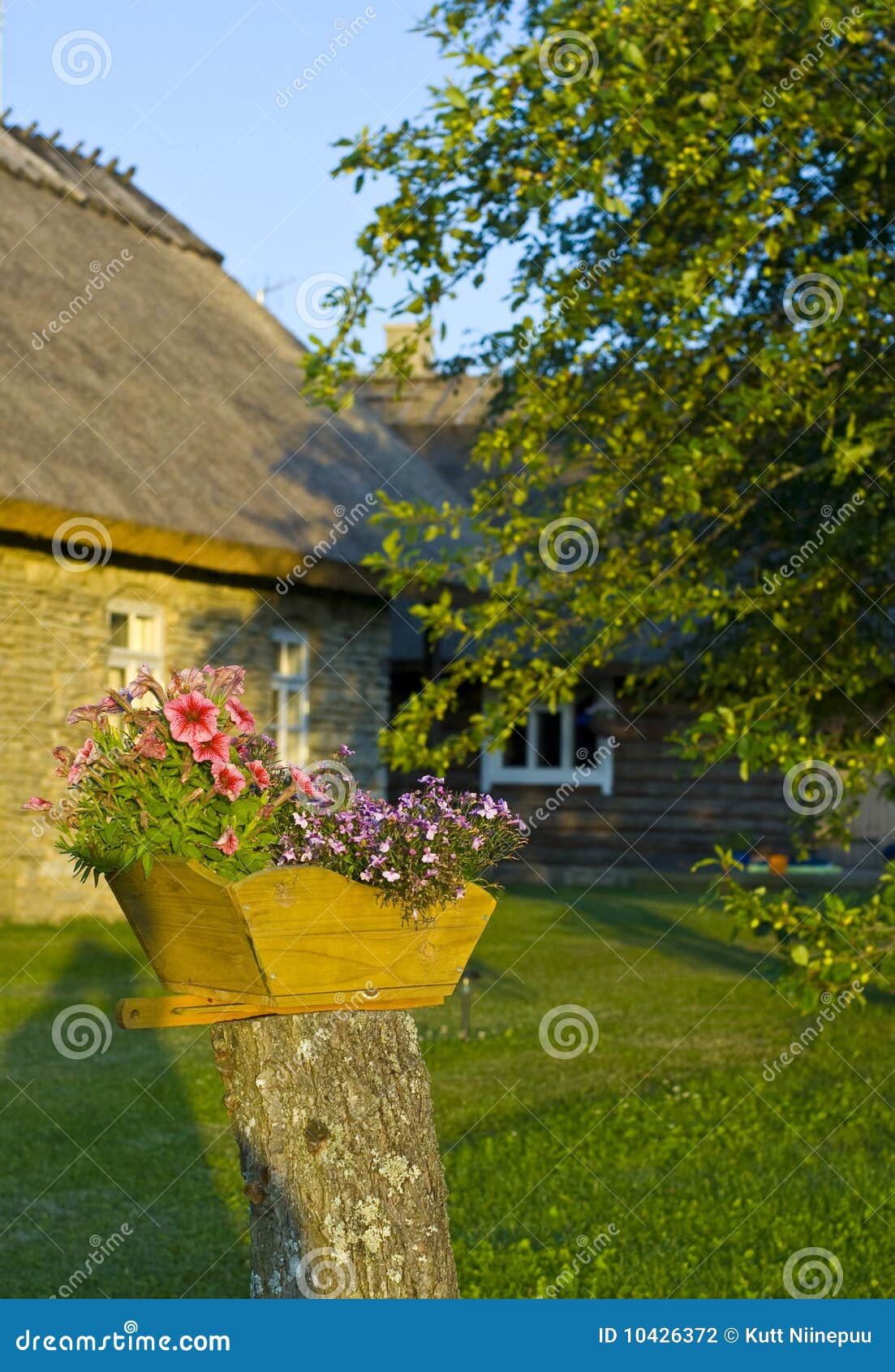 Rural cottage stock photo. Image of cottage, rural, saaremaa - 10426372