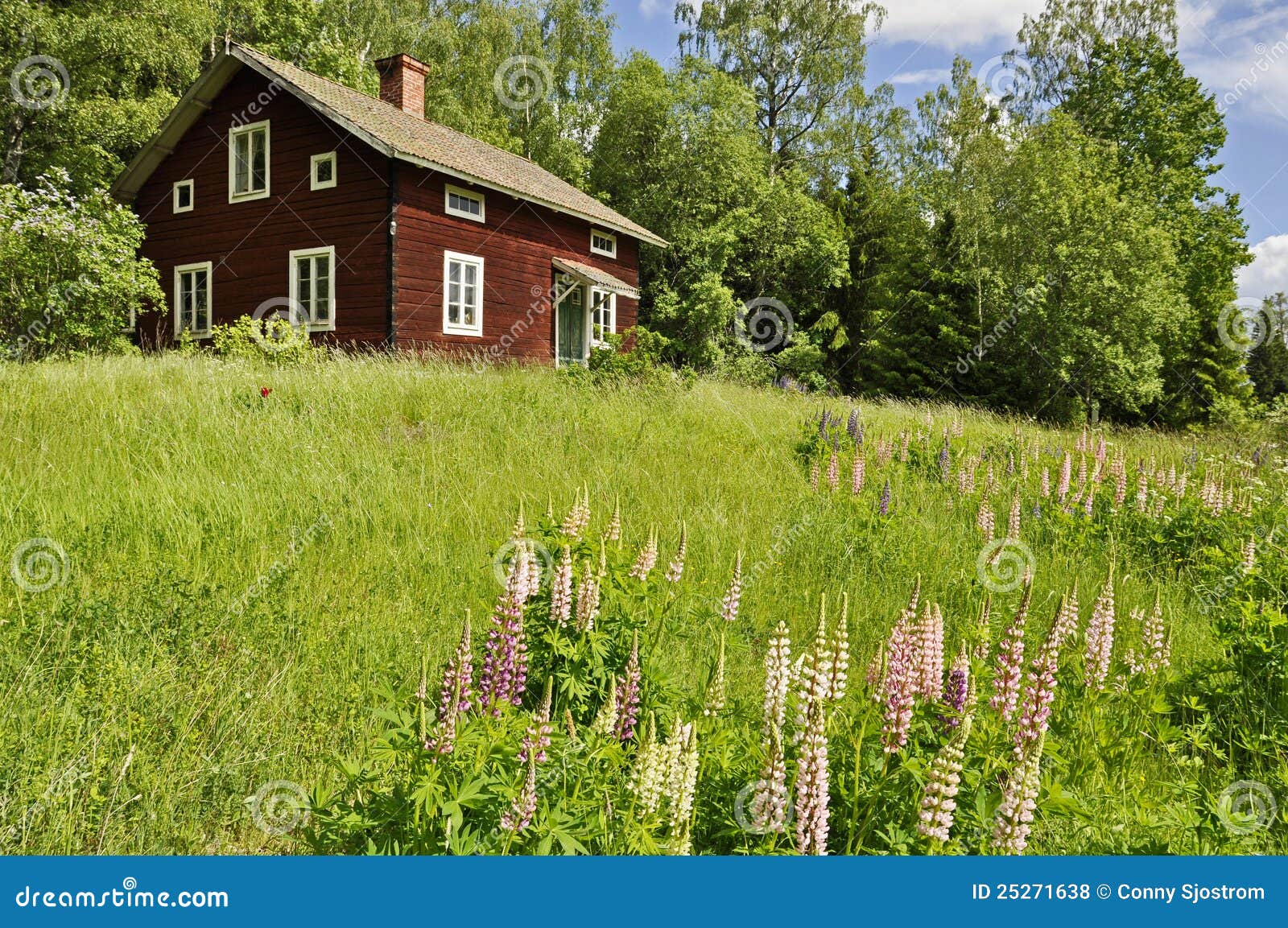 Rural cottage and garden stock photo. Image of idyllic - 25271638