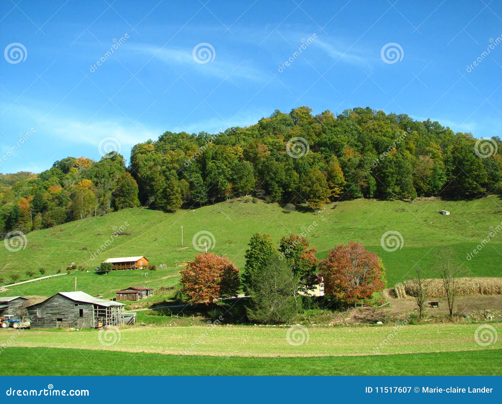 Rural country hillside stock image. Image of meadow, field - 11517607