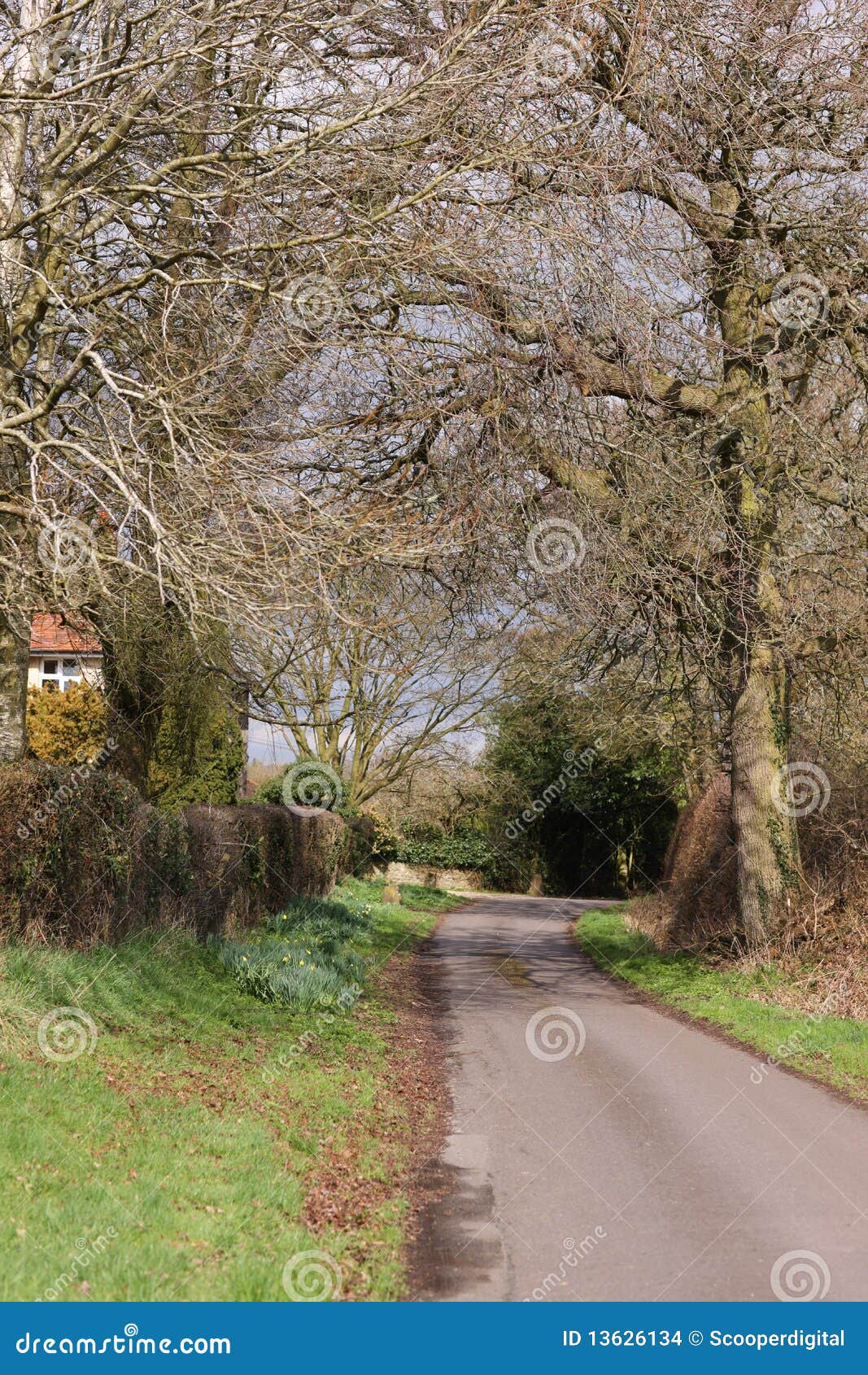 Rural country lane stock photo. Image of peaceful, countryside - 13626134