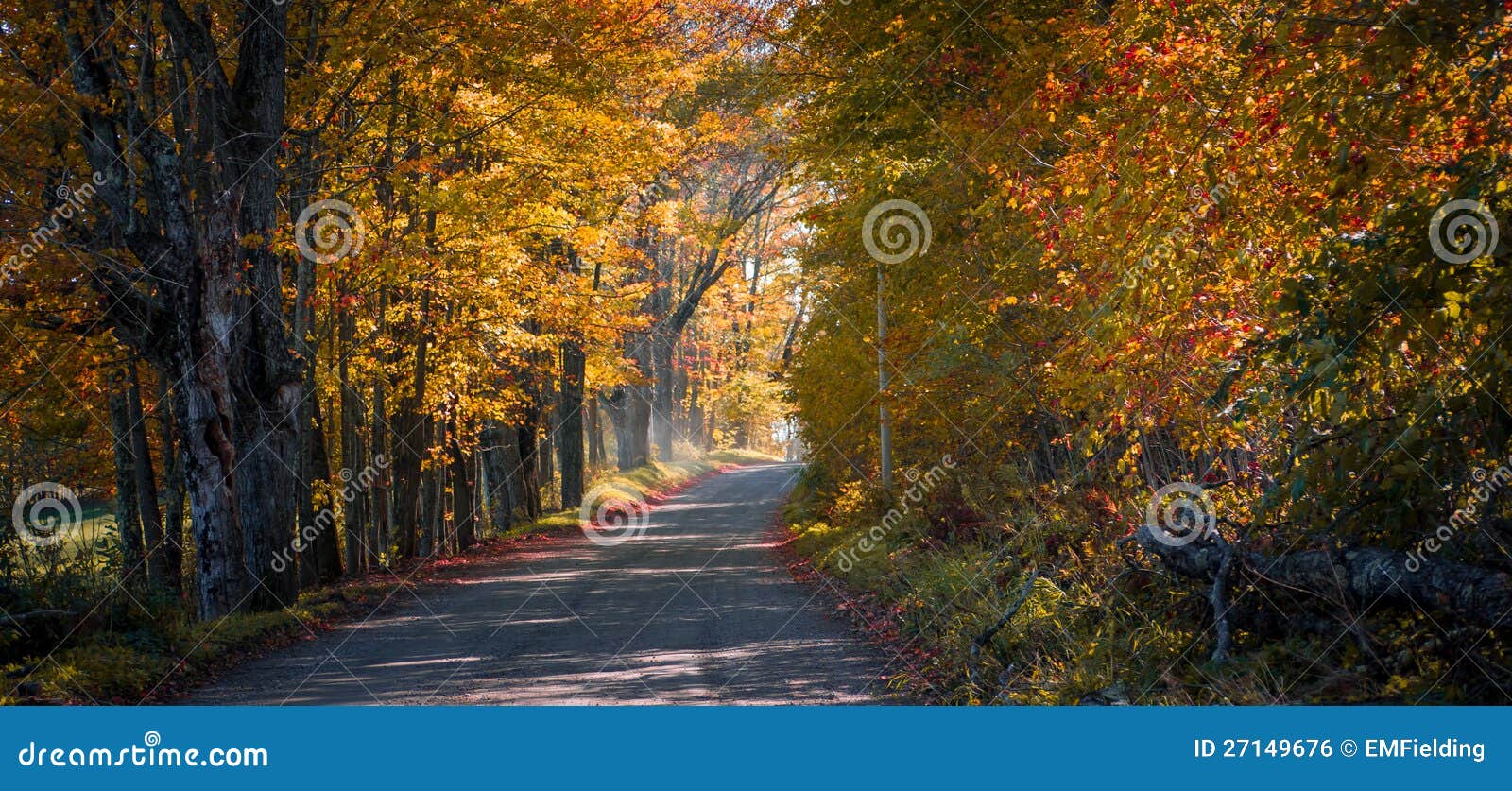 Rural Country Lane in Autumn Stock Photo - Image of england, country ...