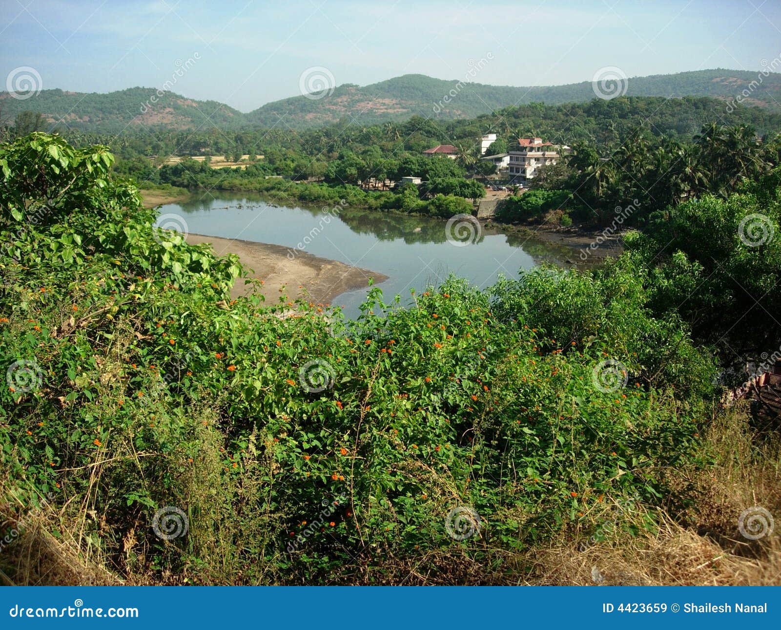 Rural country pond stock image. Image of scenery, lake - 4423659
