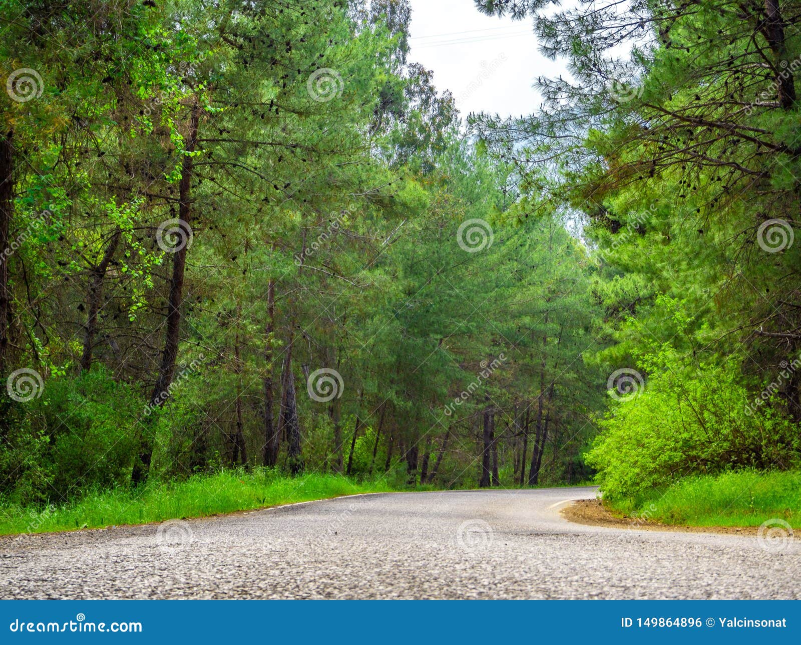Rural Country Road stock photo. Image of adventure, foliage - 149864896