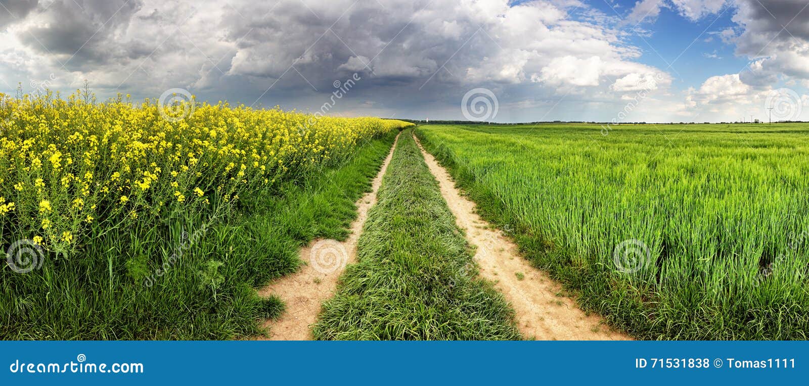 Rural Countryside with Path and Green Yellow Field at Storm Stock Photo ...
