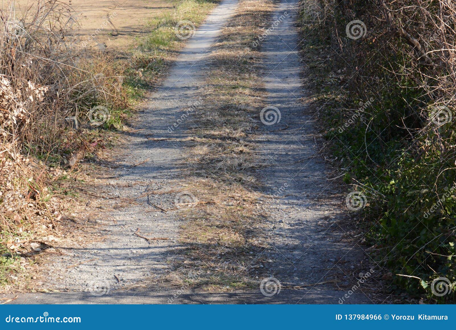 Rural countryside trail stock photo. Image of scenery - 137984966